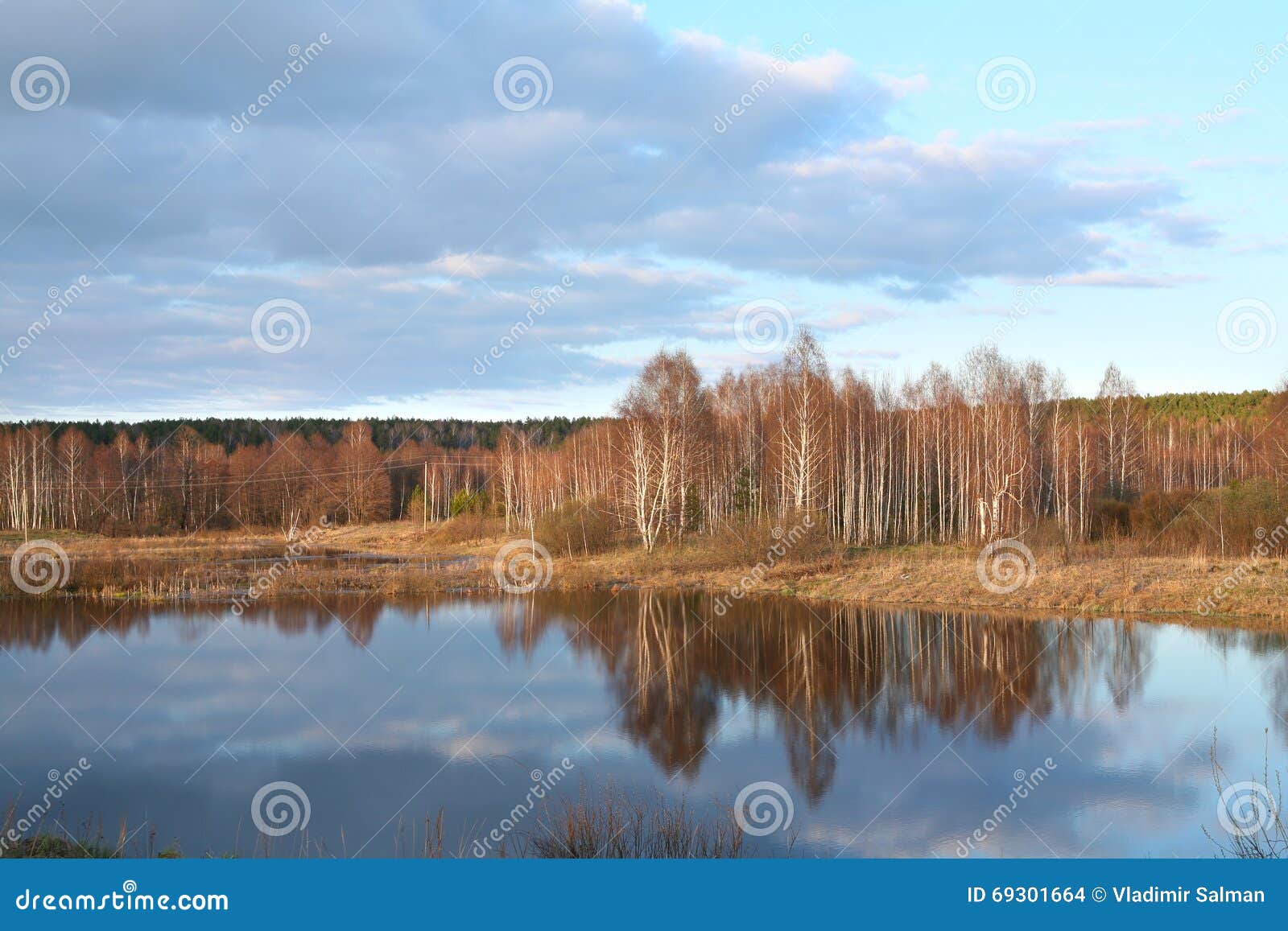 Early spring on the river stock photo. Image of bushes - 69301664