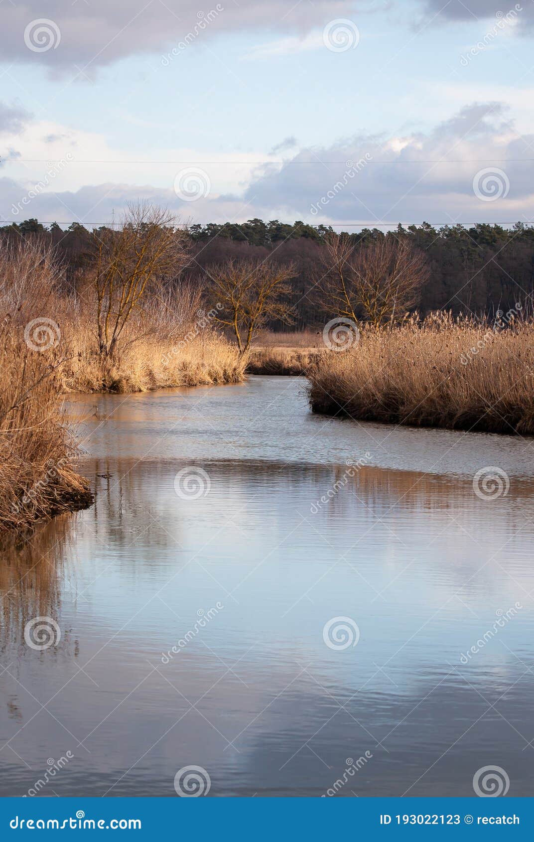 Early Spring River in the Light Stock Image - Image of light, blue ...