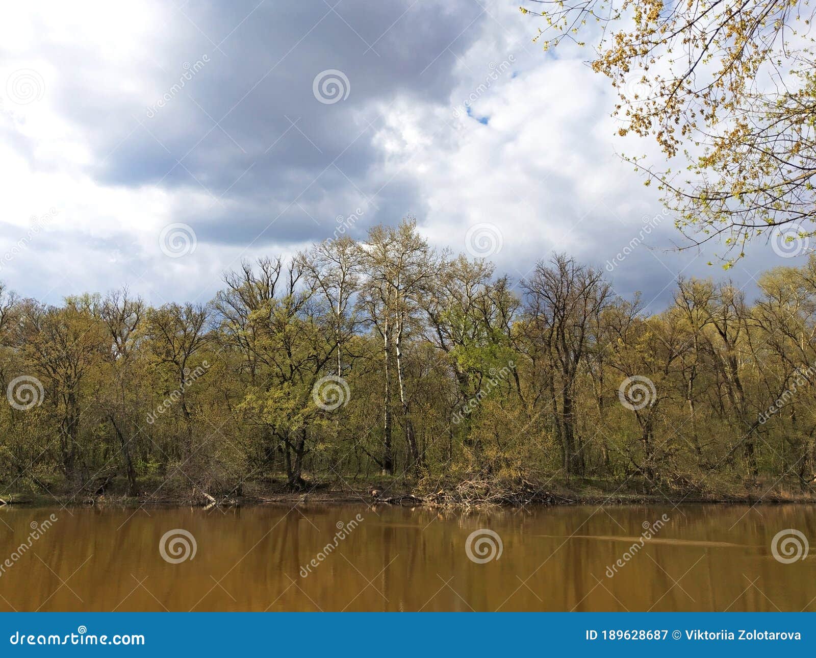 Early spring on the river. stock image. Image of calm - 189628687