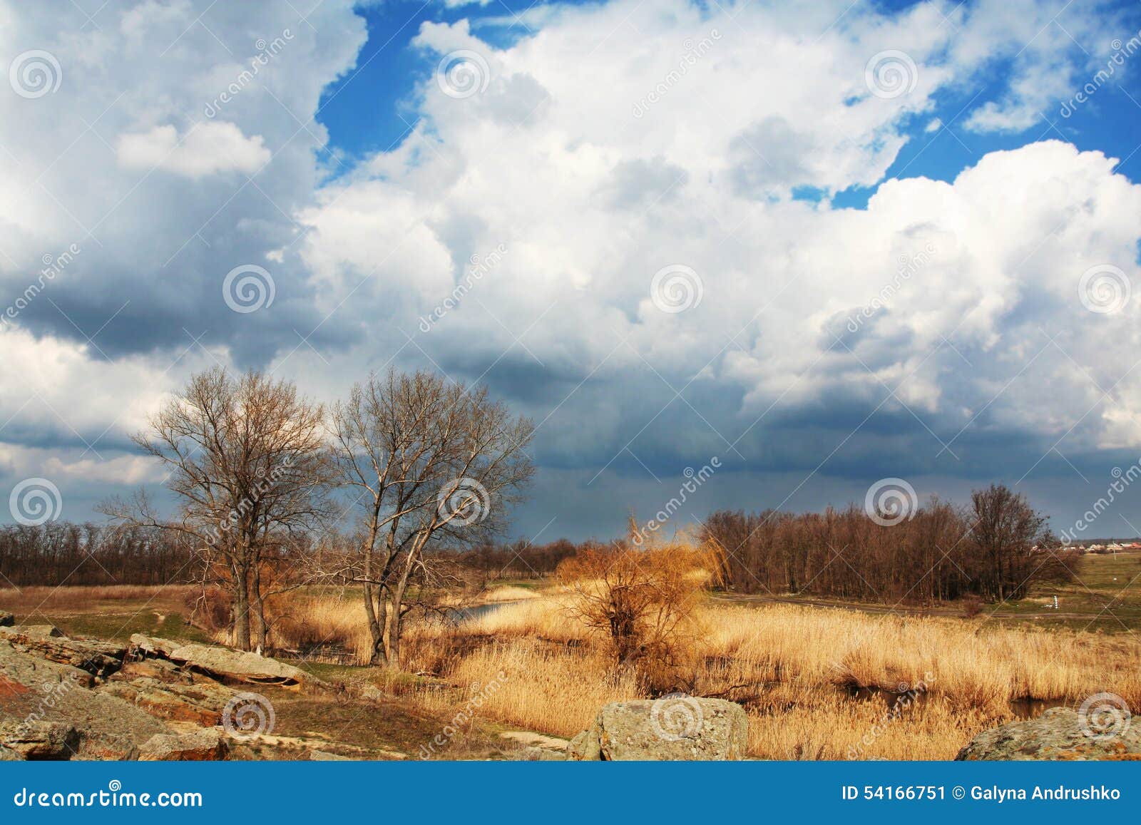 Early spring stock image. Image of farm, pond, environment - 54166751