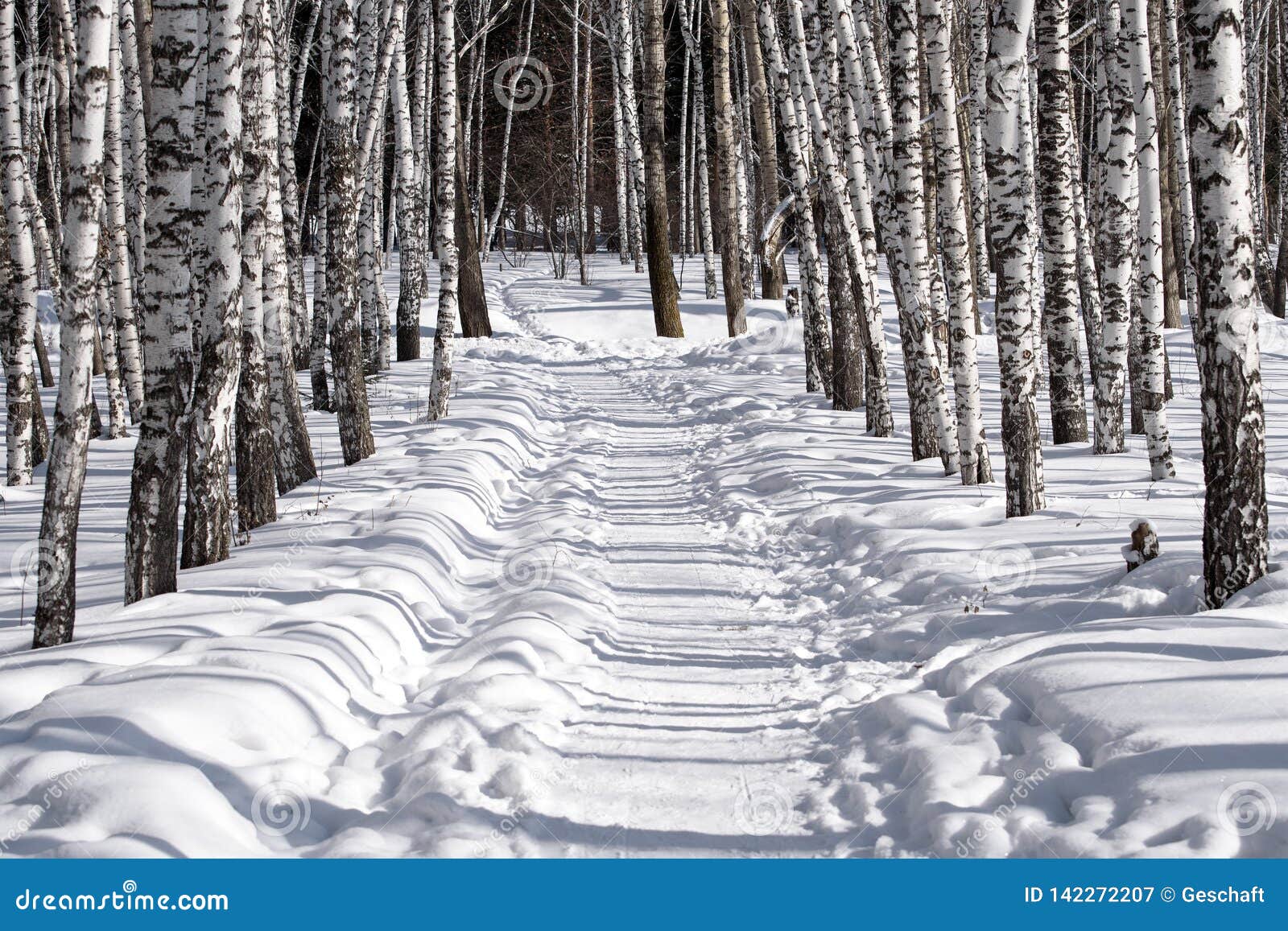Early Spring Scene. Tranquil Landscape Stock Image - Image of fresh ...