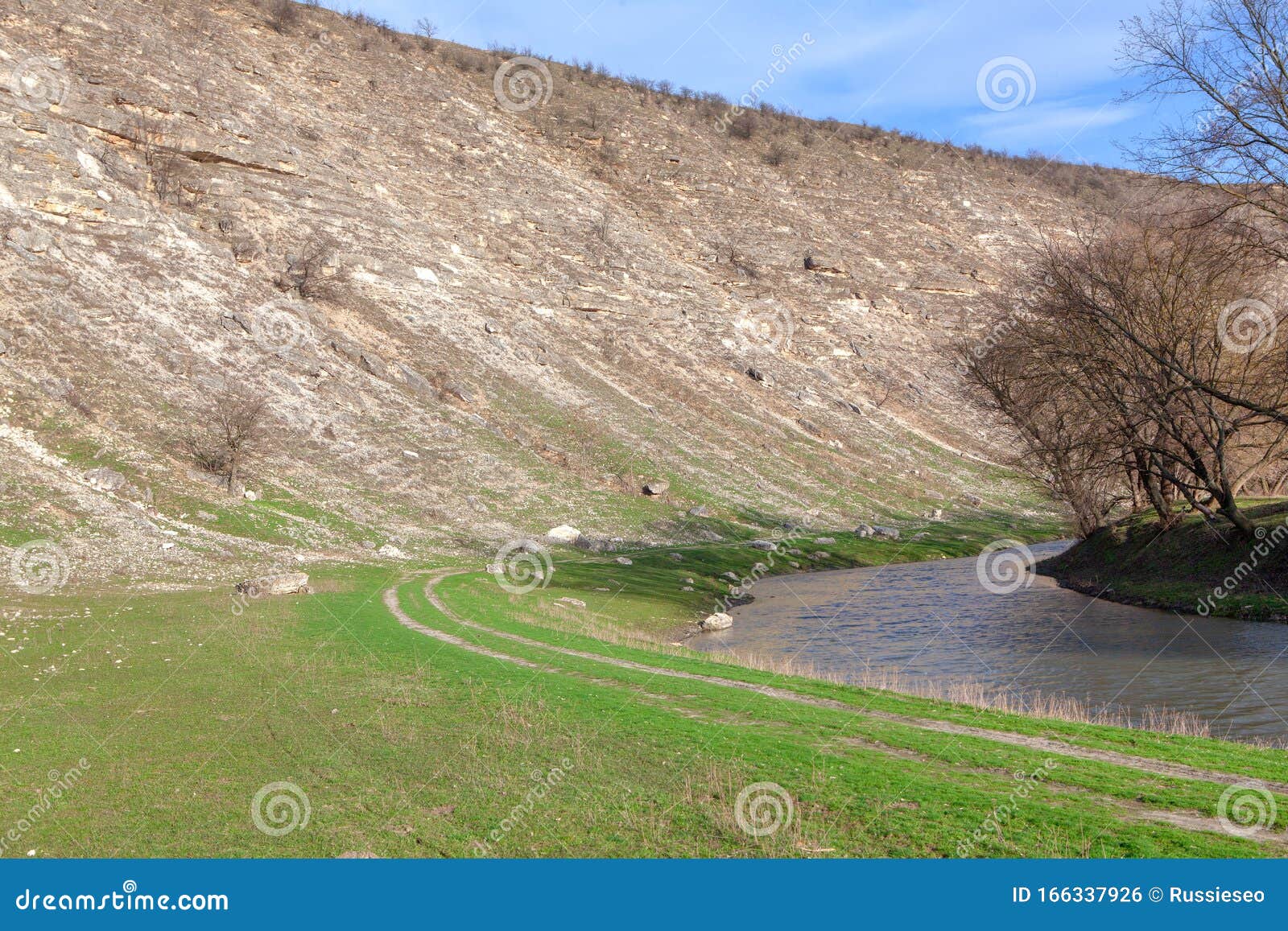 Early spring scenery stock photo. Image of field, green - 166337926