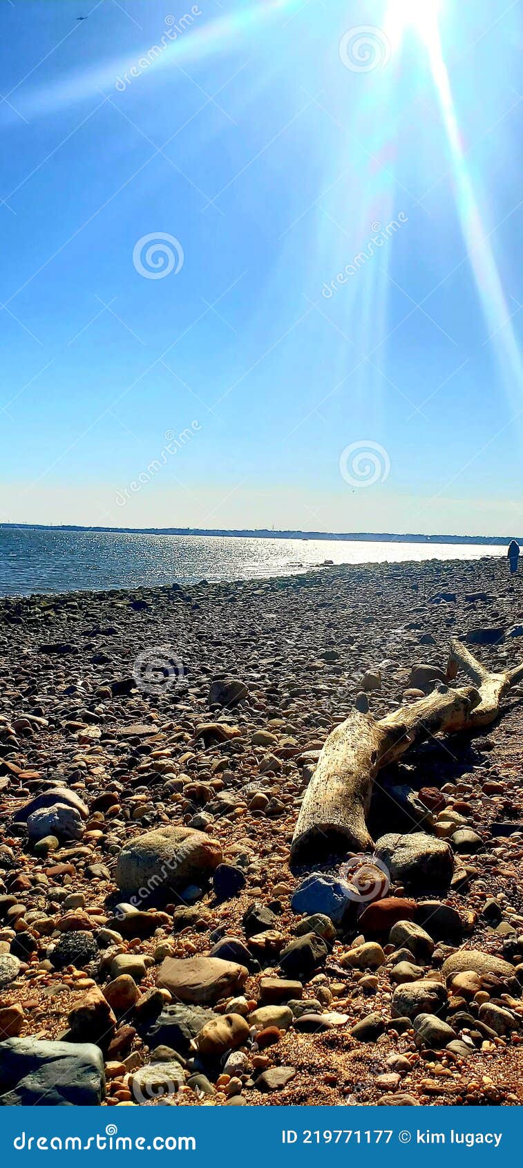 Early spring sunshine stock image. Image of clear, early - 219771177