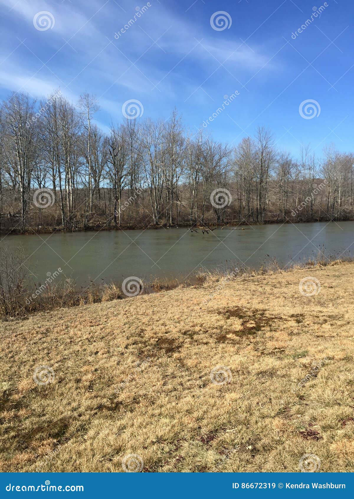 Early spring sunshine stock image. Image of green, cuddle - 86672319