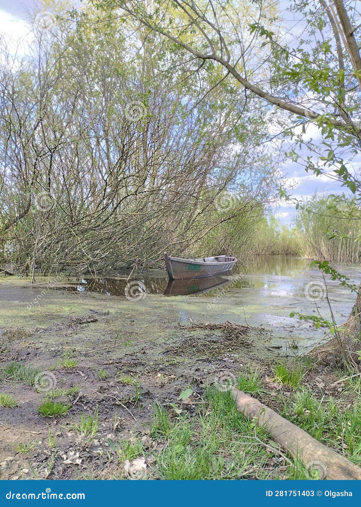 Early Spring Tender Beautiful Landscape, River Flood, Swamp Stock Image ...