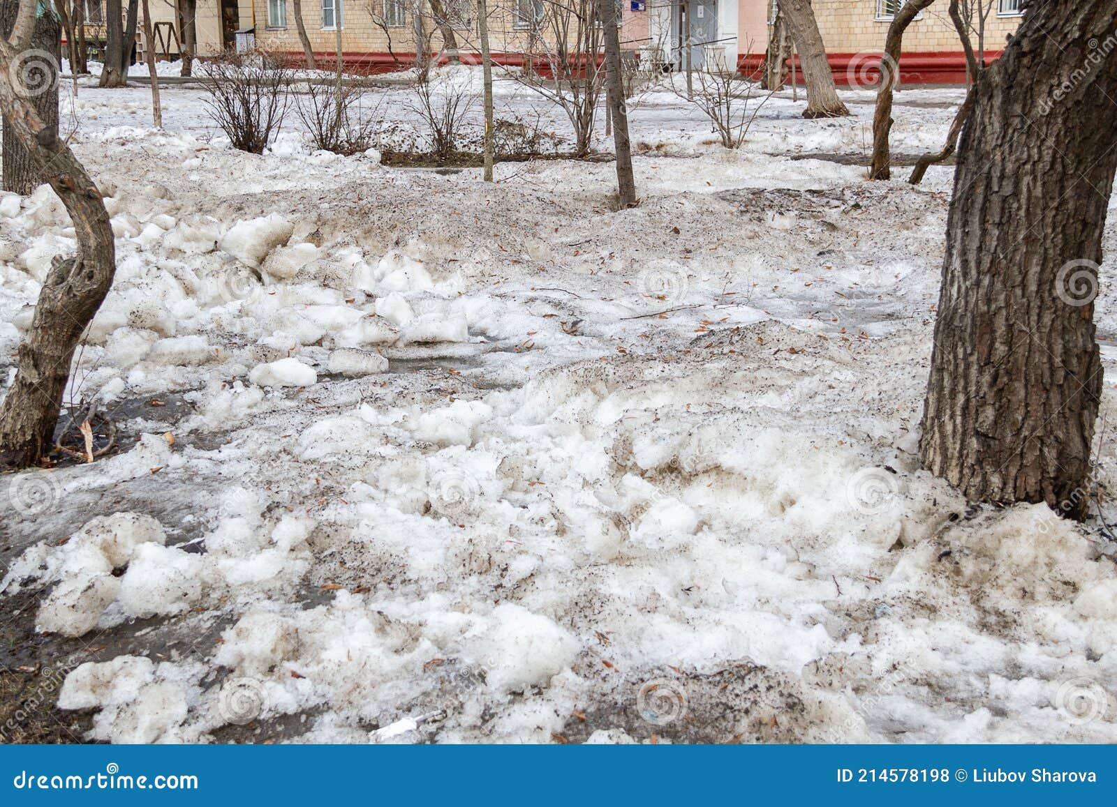 Early Spring Time Dirty Gray Melted Snow with Sand Pattern Texture ...