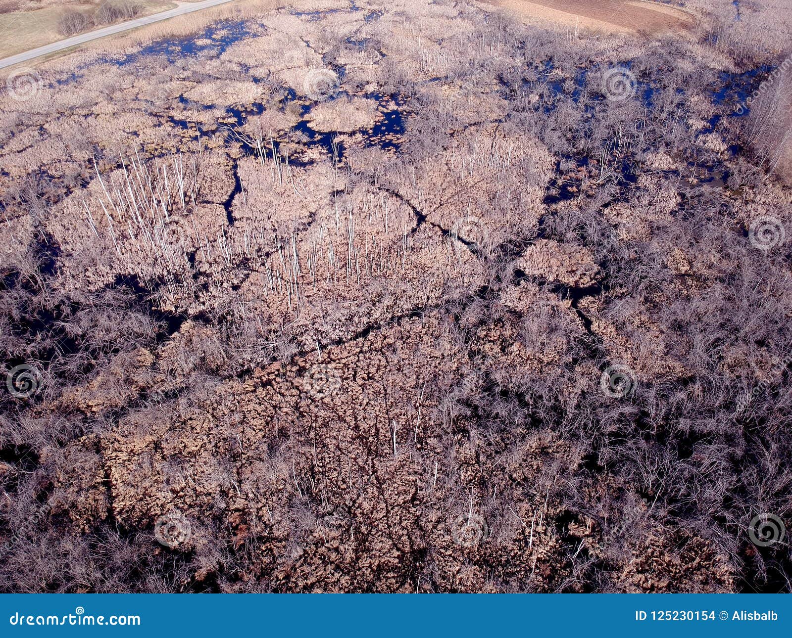 Early Spring Marsh Wetland, Aerial View Stock Photo - Image of fields ...