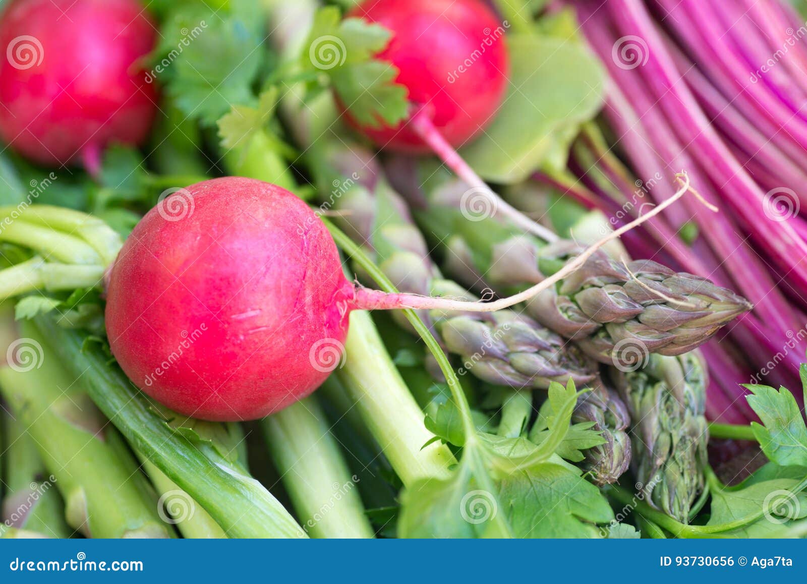 Early spring vegetables stock photo. Image of heap, color - 93730656