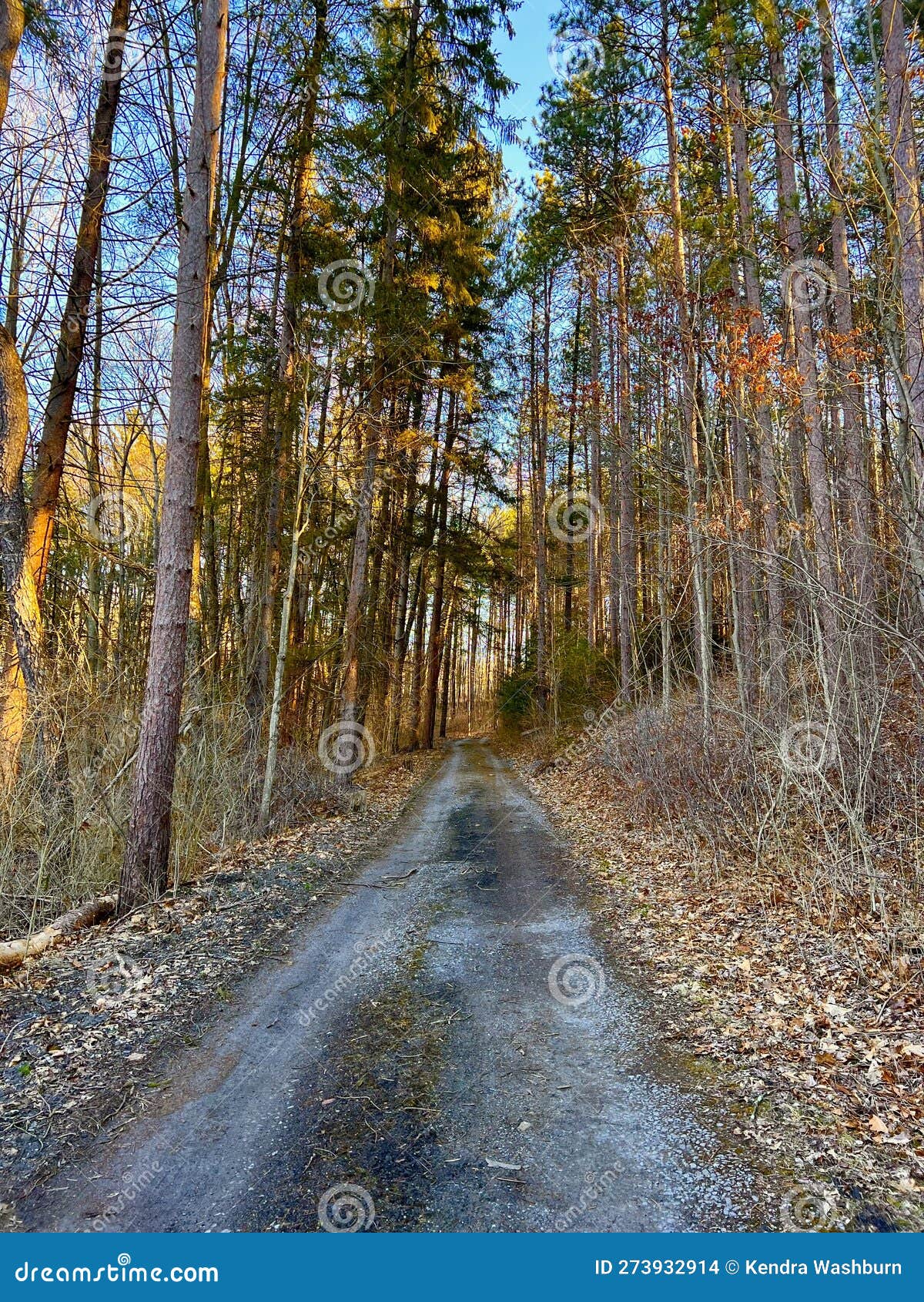 Early Spring Walks in Pennsylvania Stock Photo - Image of early ...