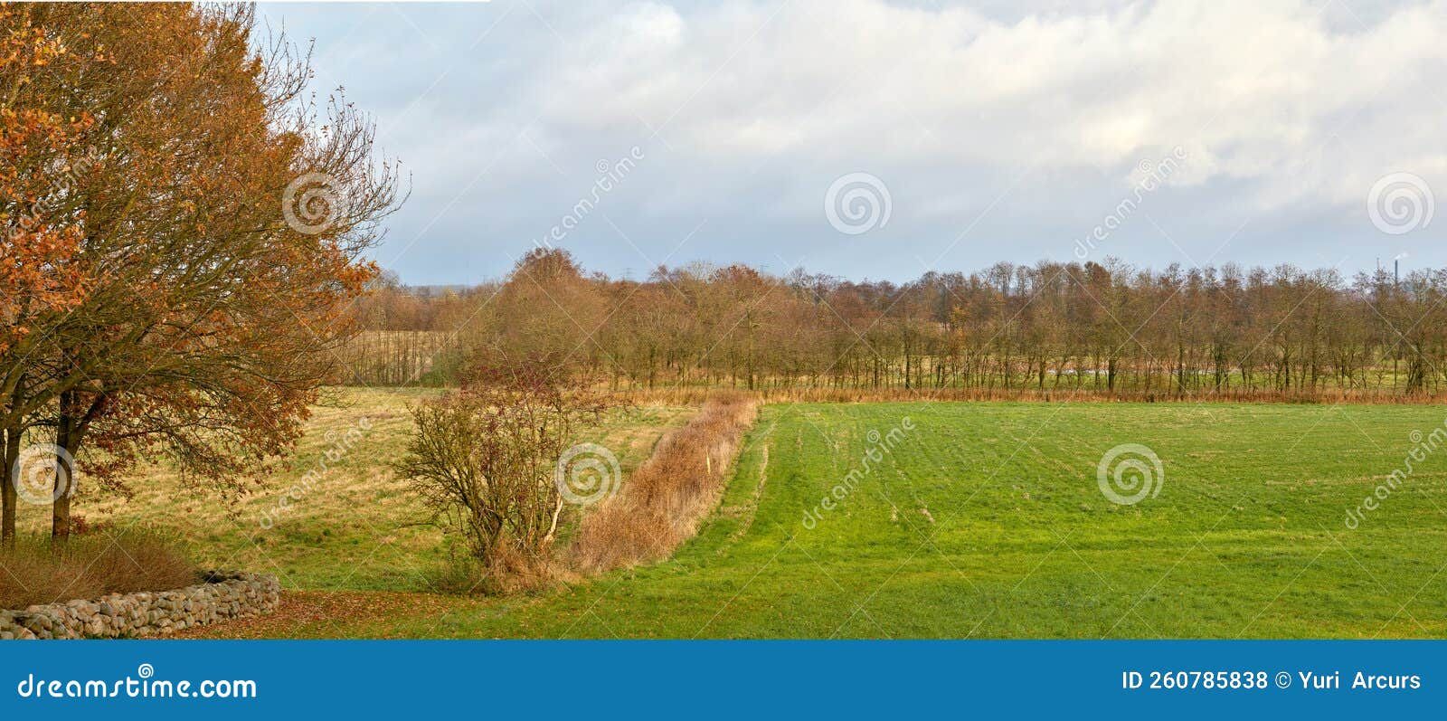 Early Springtime. a Photo of Forest Beauty in Early Springtime. Stock ...