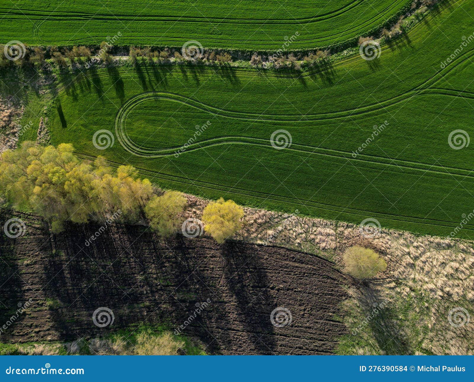 Early Sprouting Trees and Blooming Cherries Controls Agricultural Stock ...