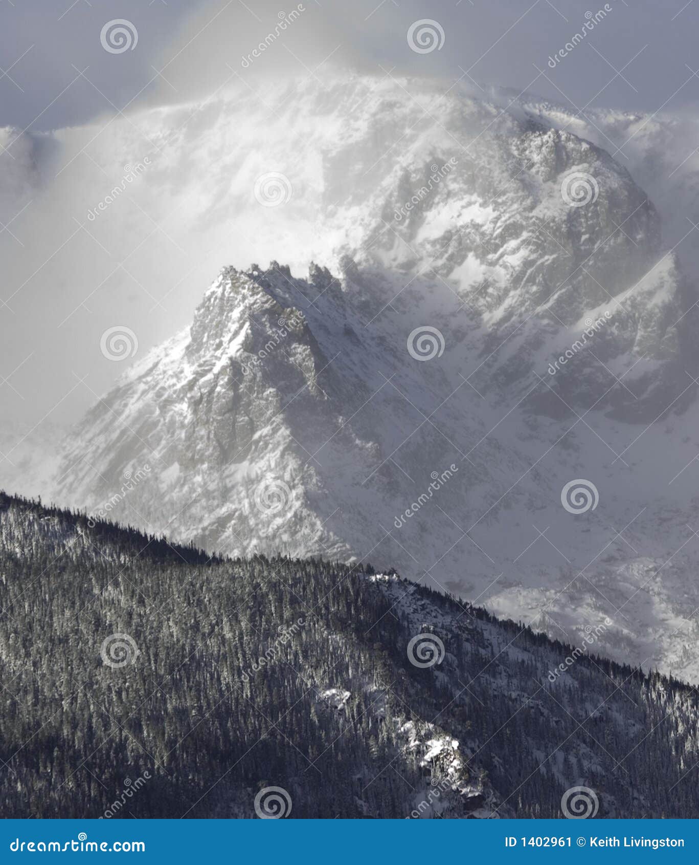 Early Storm stock image. Image of scenic, forest, winter - 1402961