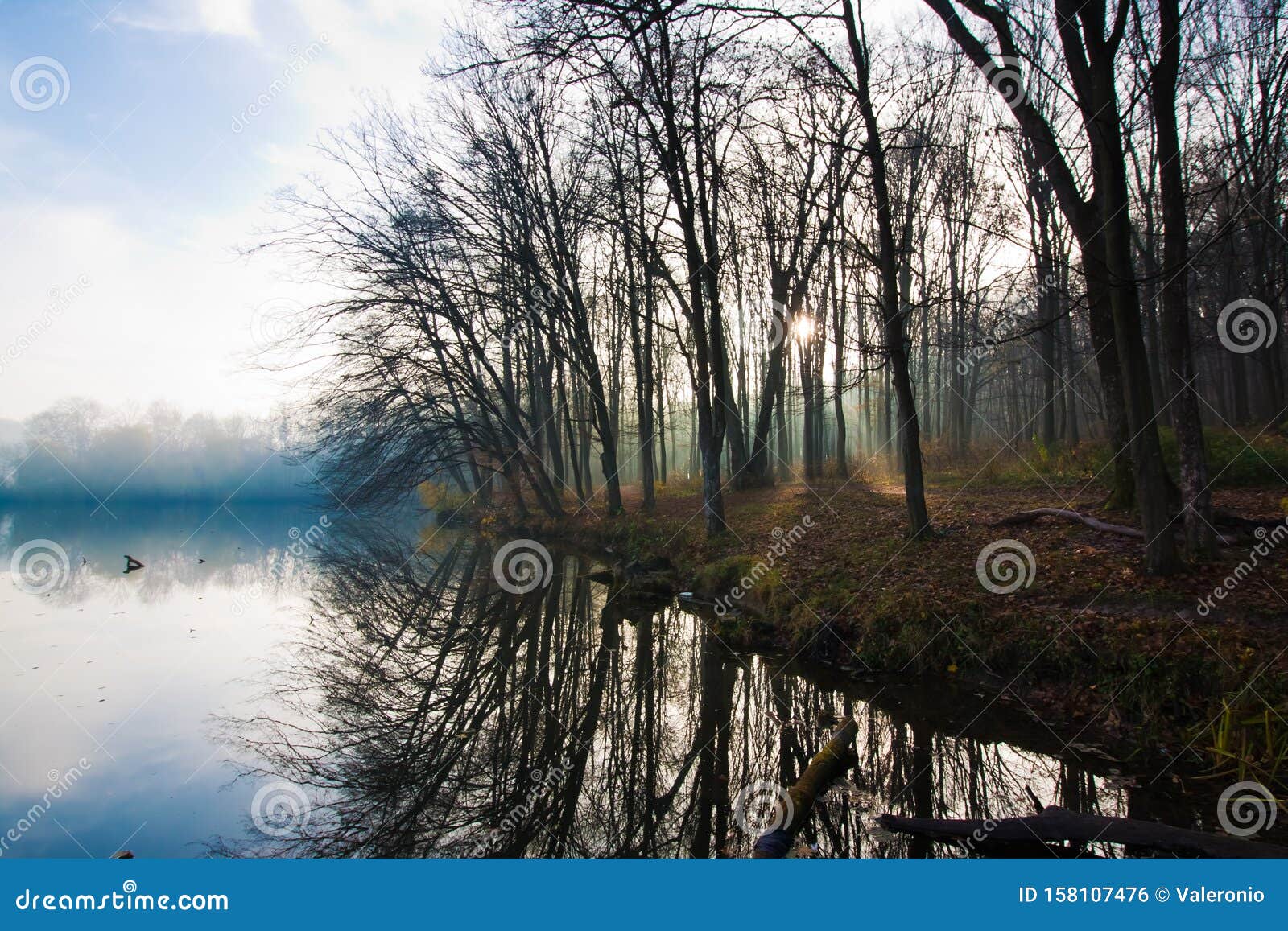 Early Sun Rays Get through Bare Tree Branches in Forest on a Lake Bank ...
