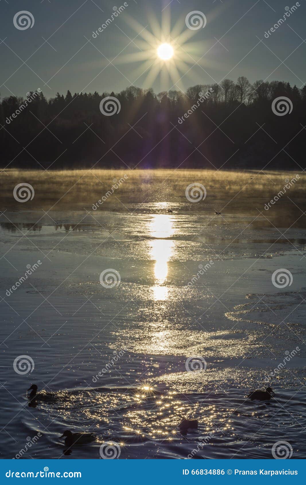 EARLY SUNNY MORNING stock photo. Image of nature, birstonas - 66834886