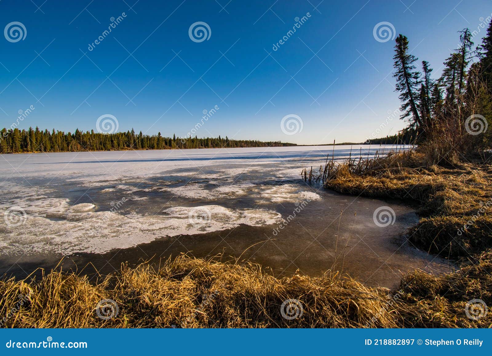 Early Sunny Spring Morning Mariana Lake Alberta Stock Image - Image of ...