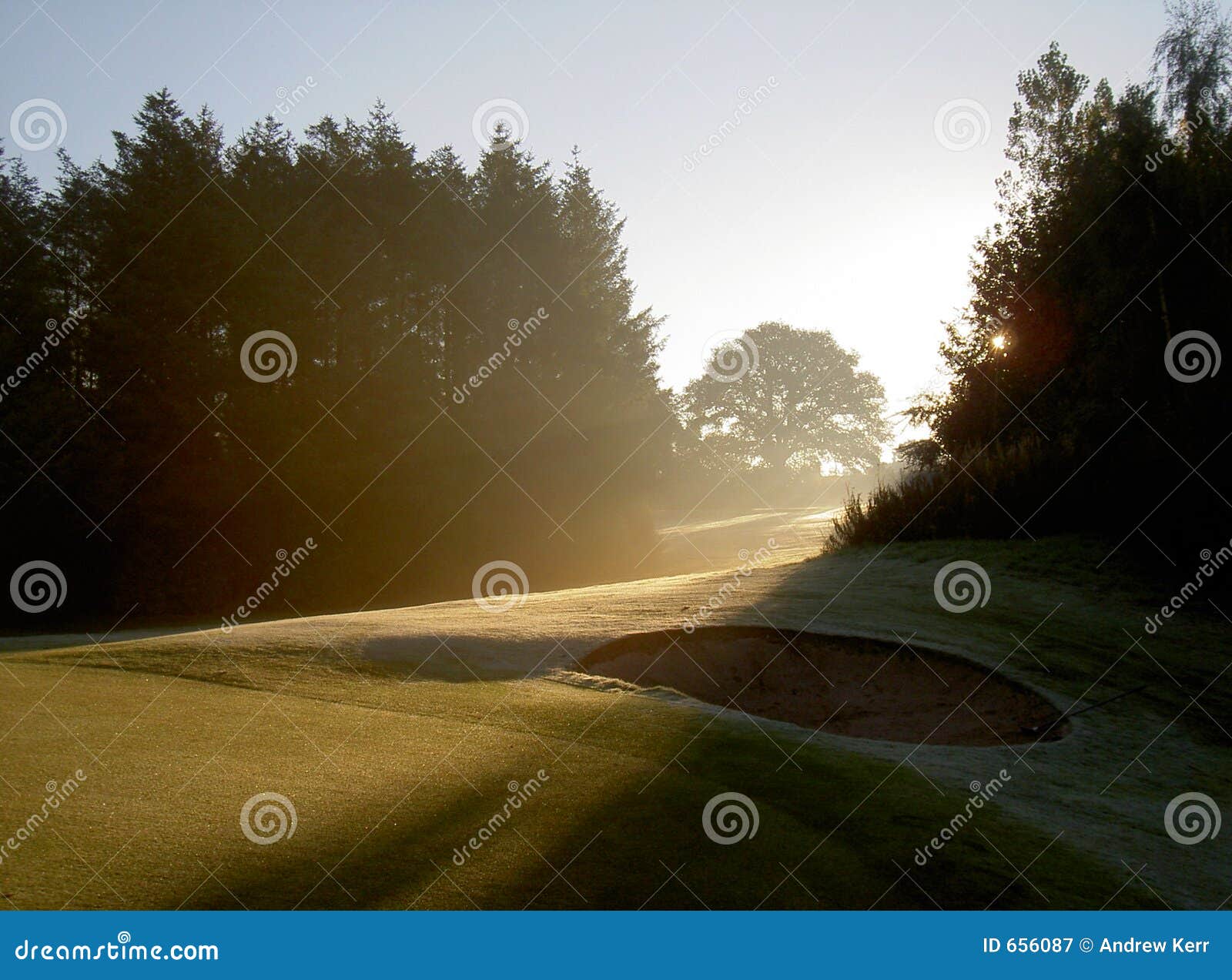 Early Sunrise on a Golf Course Stock Image - Image of silhouette ...
