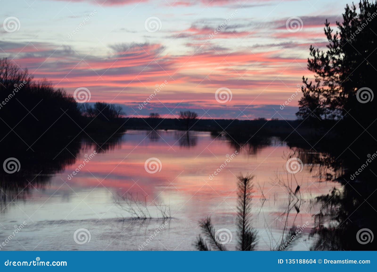 The Early Sunrise Over the River4. Stock Photo - Image of river4, green ...