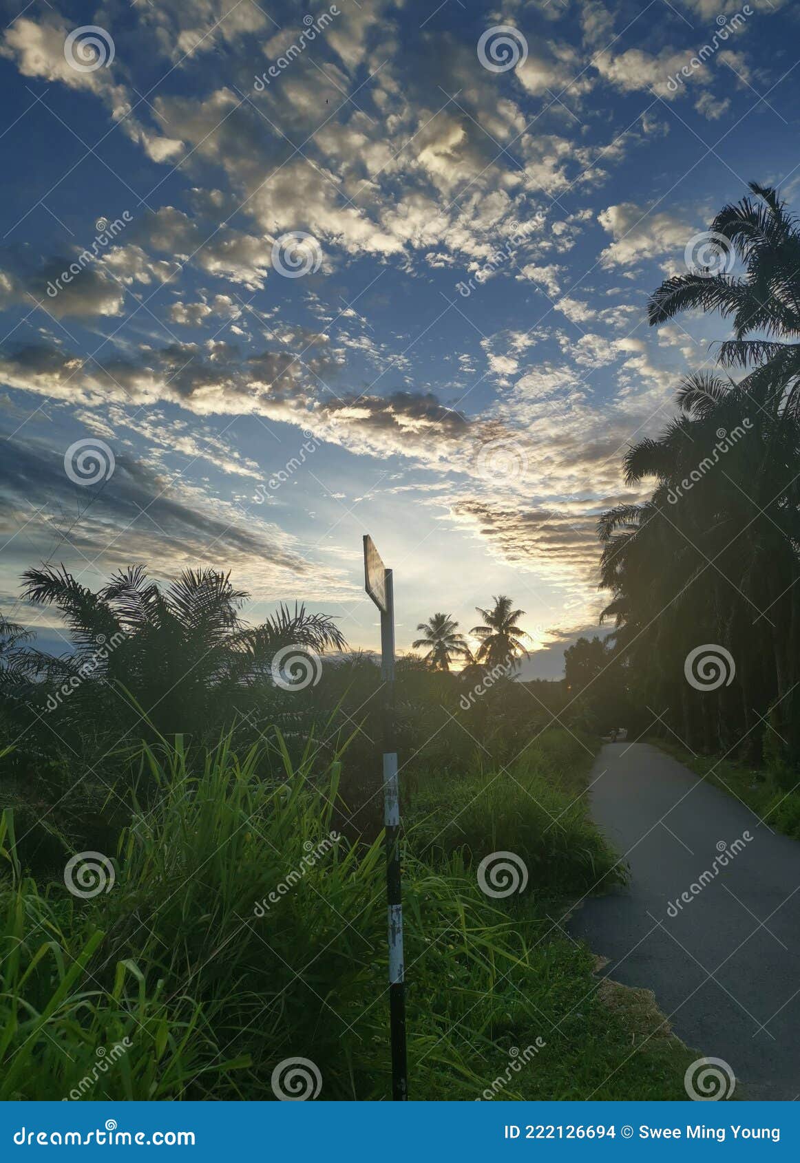 Early Sunrise Scene Around the Signpost Pathway Stock Photo - Image of ...