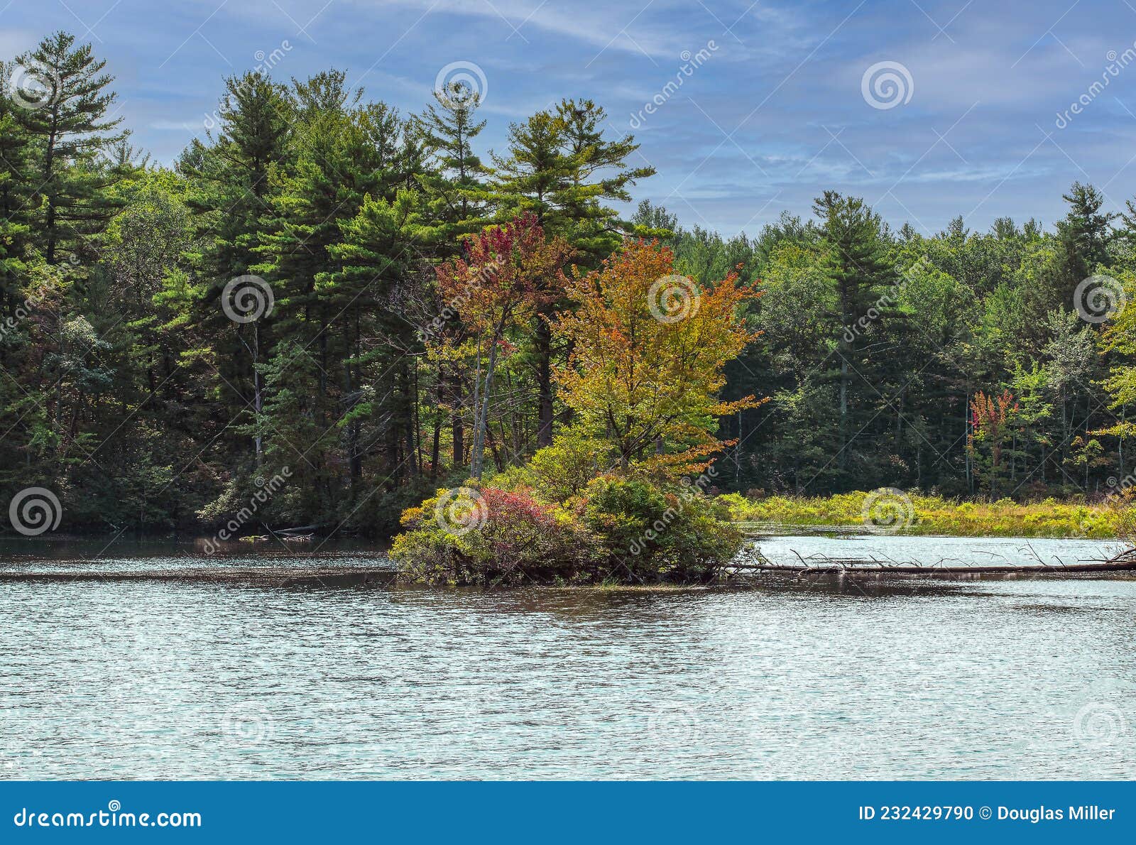 Early Touch of Fall at Paradise Pond Stock Photo - Image of colors ...