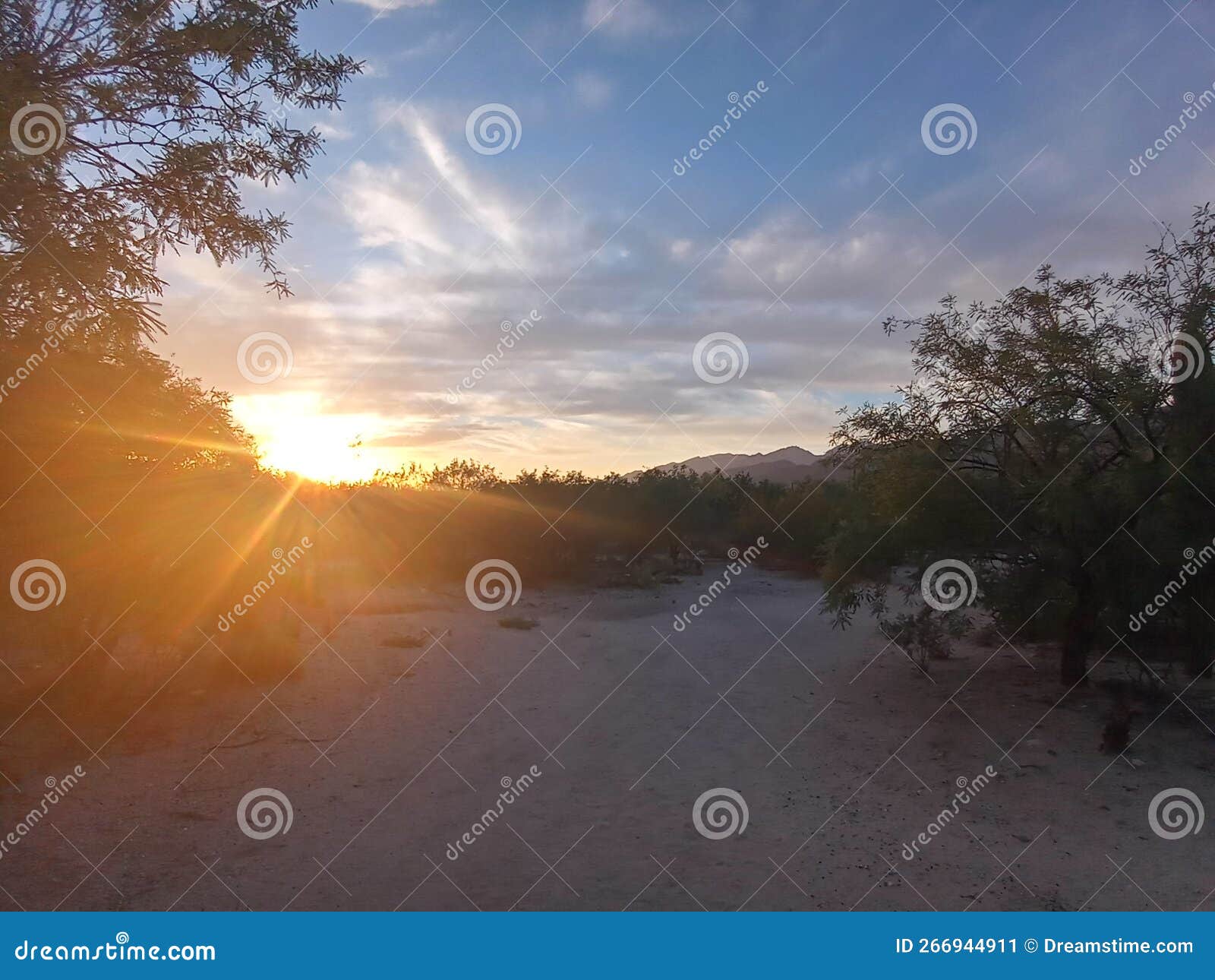 Early Walking Trail Sunset.. Stock Image - Image of dusk, horizon ...