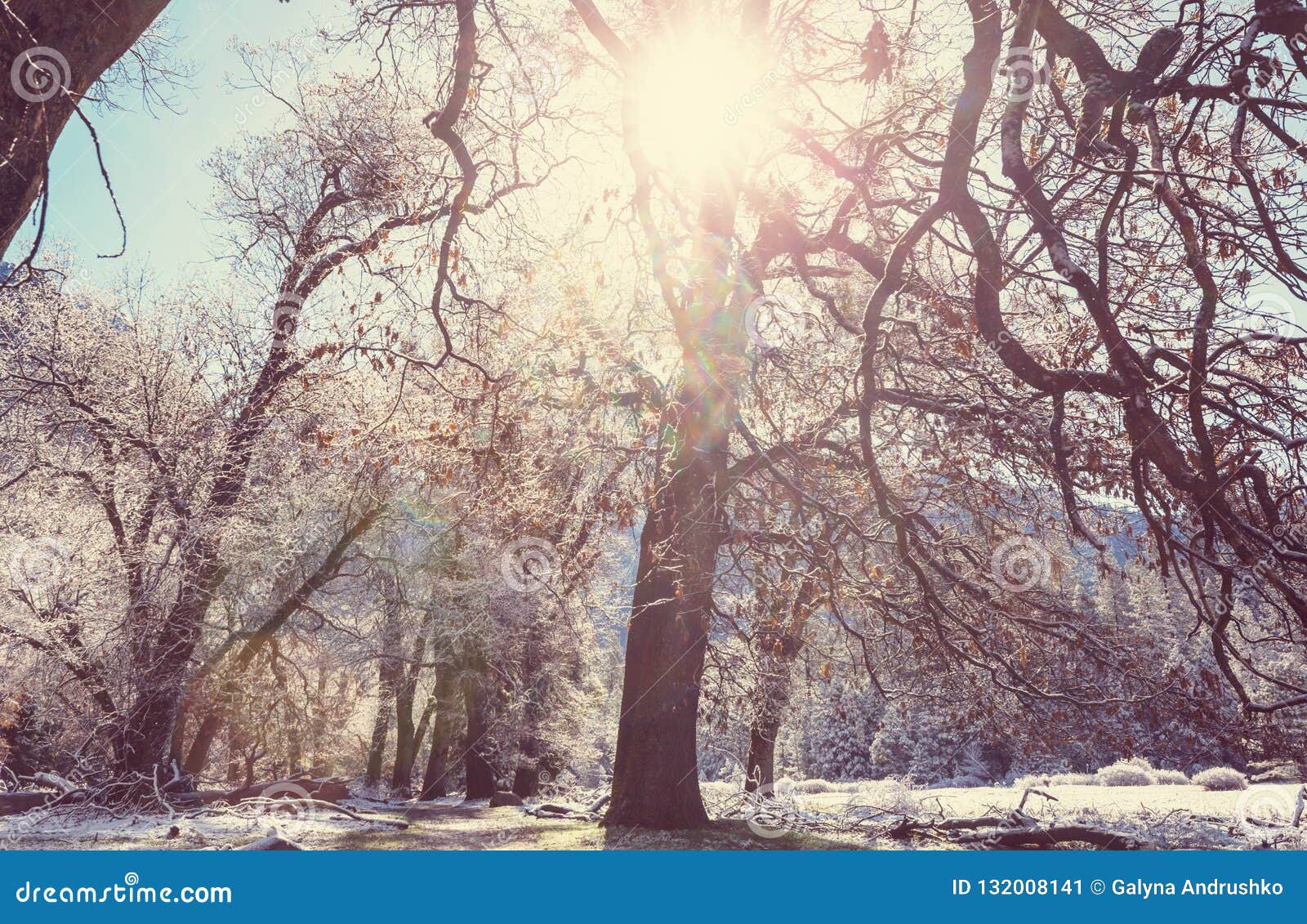 Early winter stock image. Image of outdoor, beauty, country - 132008141