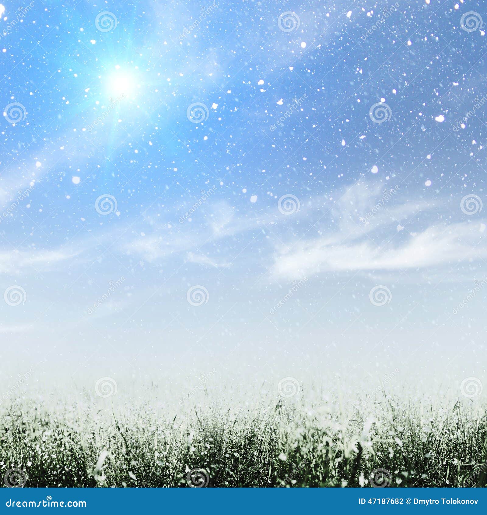 Early winter on the meadow stock photo. Image of nature - 47187682