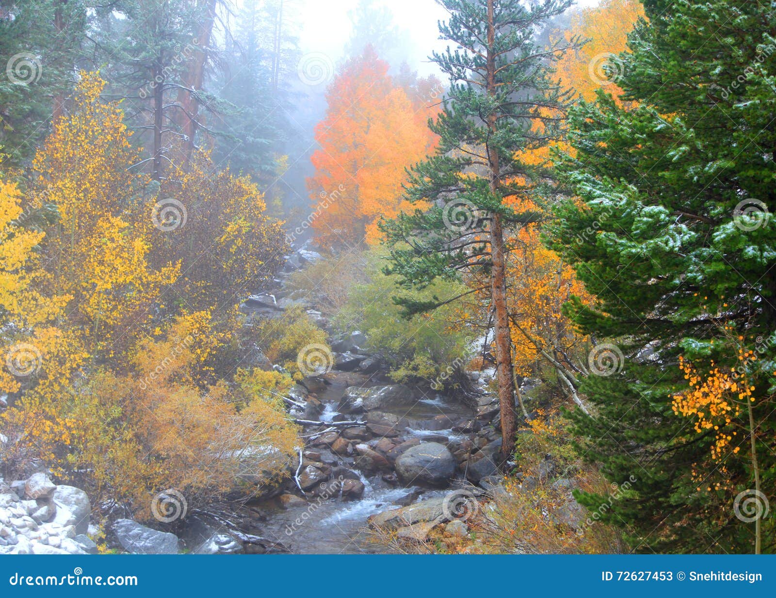 Early winter scene stock image. Image of bishop, outdoor - 72627453