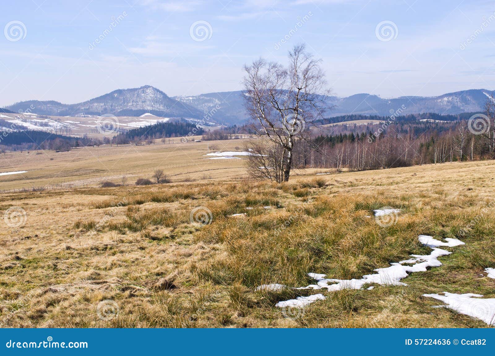Early Winter in Sudetes Mountains - Poland Stock Photo - Image of cold ...