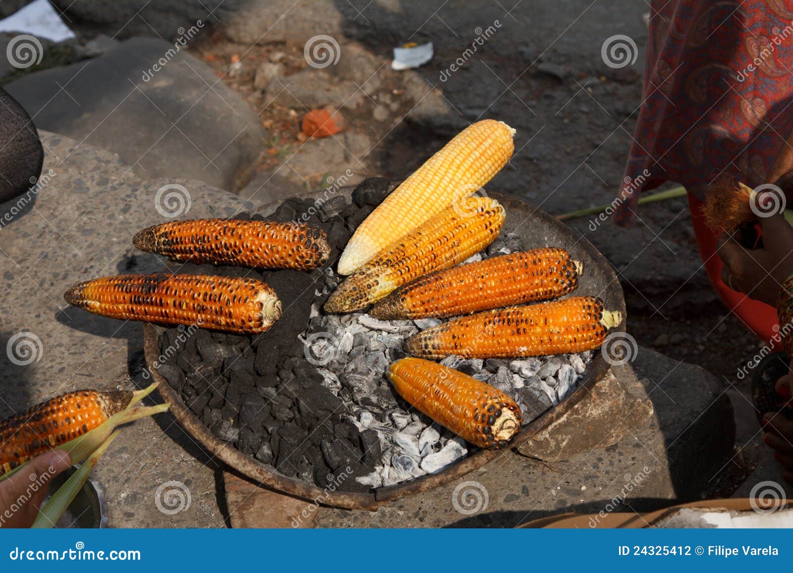 Earn of corn being roasted stock photo. Image of food - 24325412