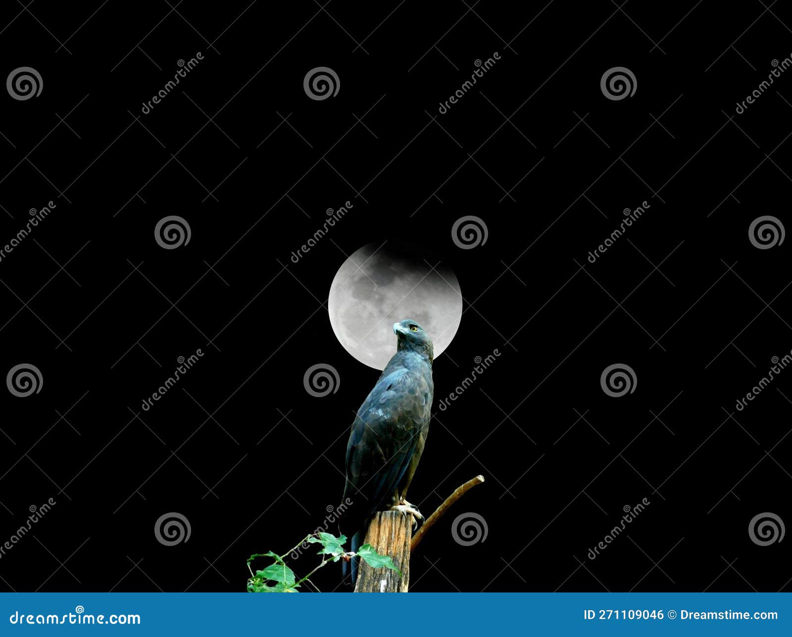 Earnest Dark-eyed Young Man Thinking Stock Photo | CartoonDealer.com ...