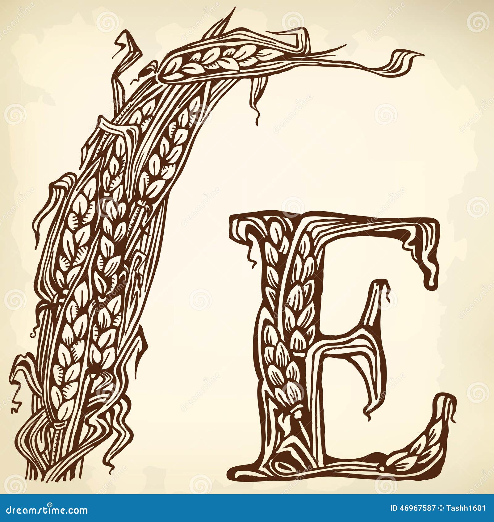 Litera E Stock Illustrations – 3 Litera E Stock Illustrations, Vectors ...