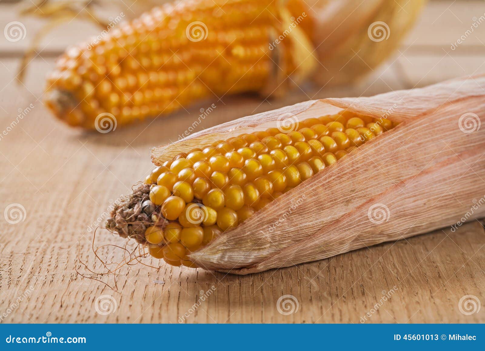 Ears of Corn on Wooden Boards Very Close Up Stock Image - Image of crop ...