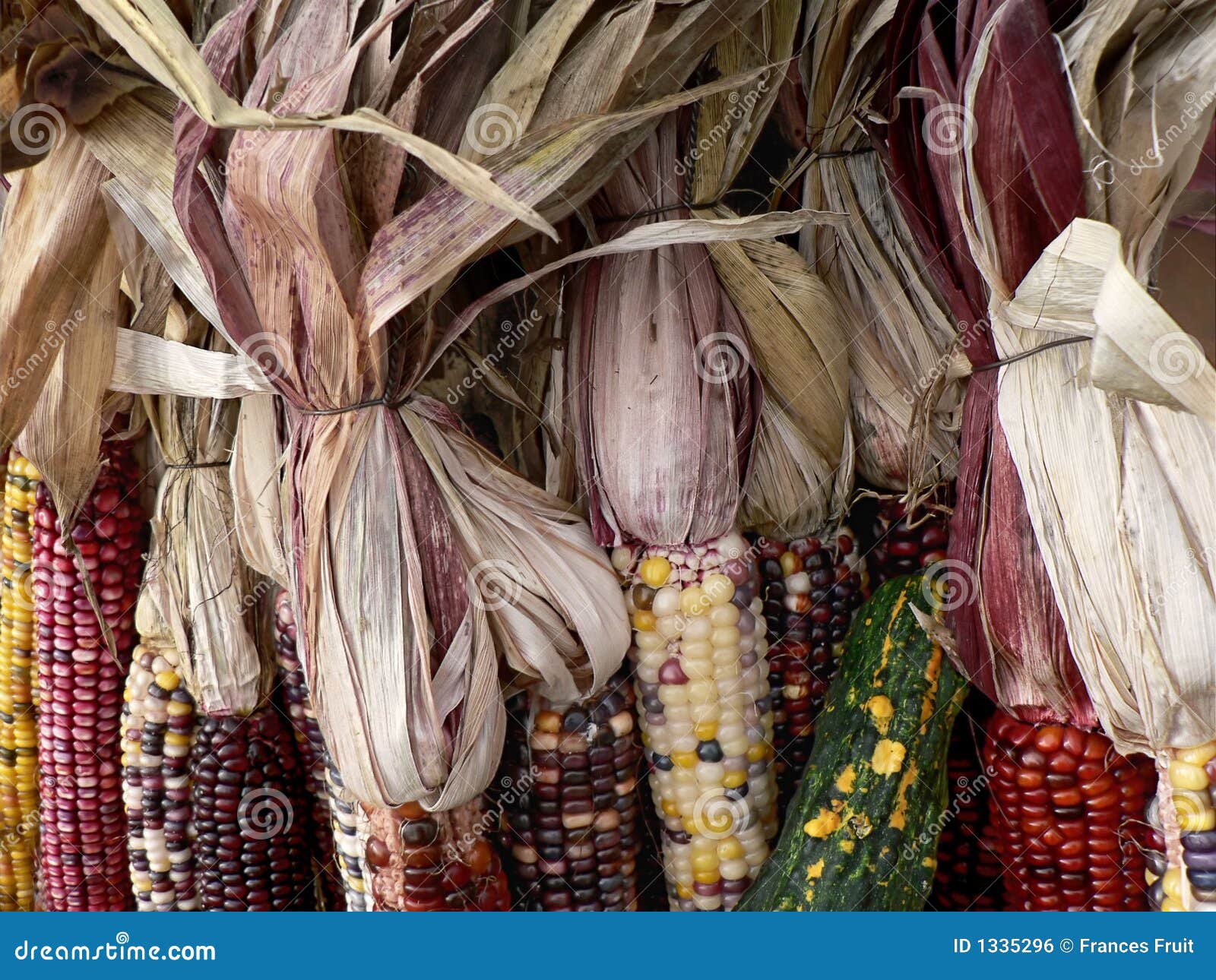 Ears of Indian Corn at a Farmers Market Stock Photo - Image of fall ...