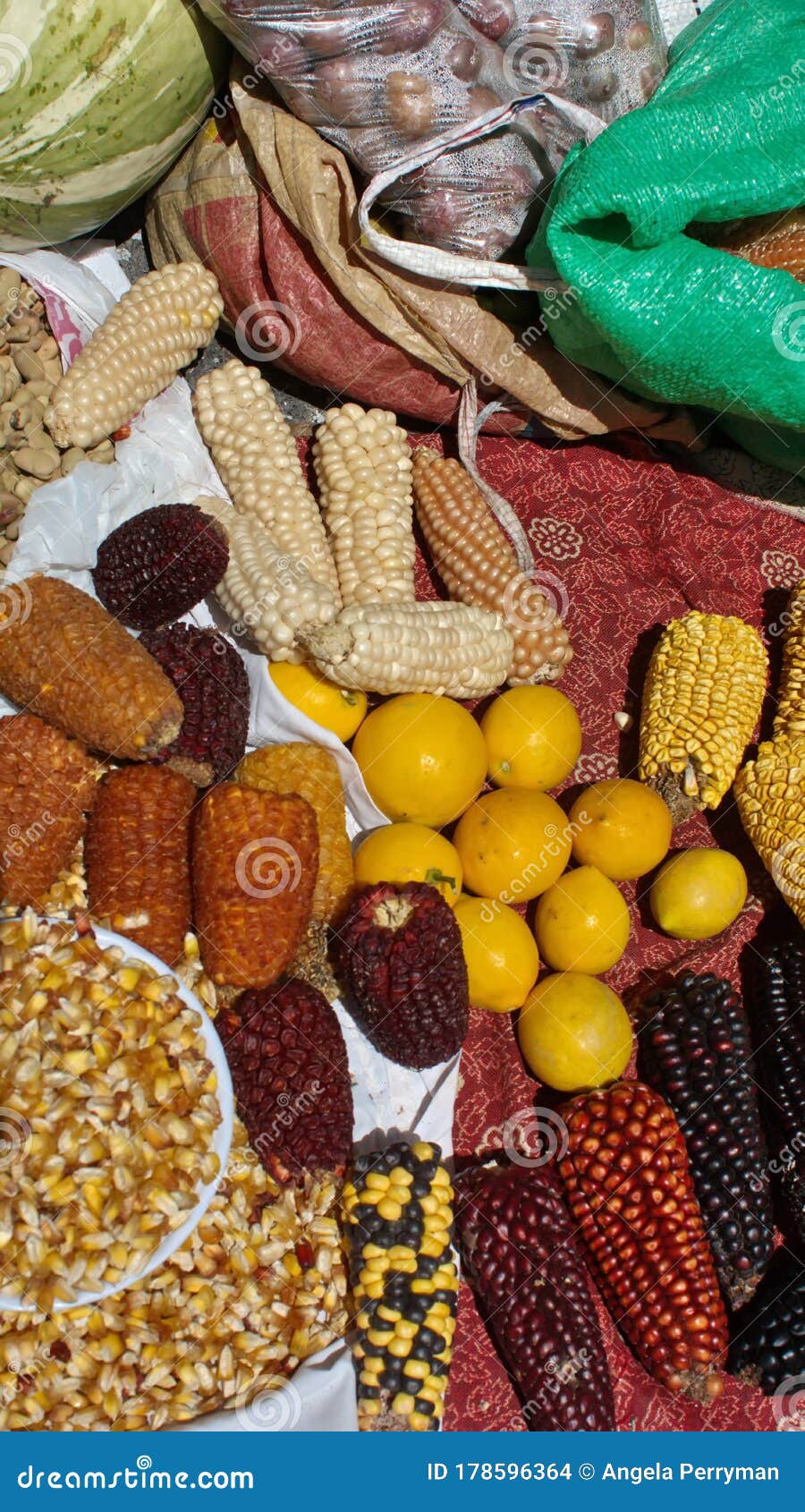 Ears and Kernels of Corn and Fruit Stock Photo - Image of citrus, pile ...