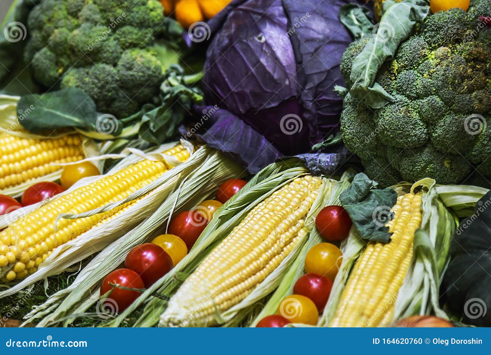 Ears of Ripe Corn and Other Vegetables are Collected from the Fields ...