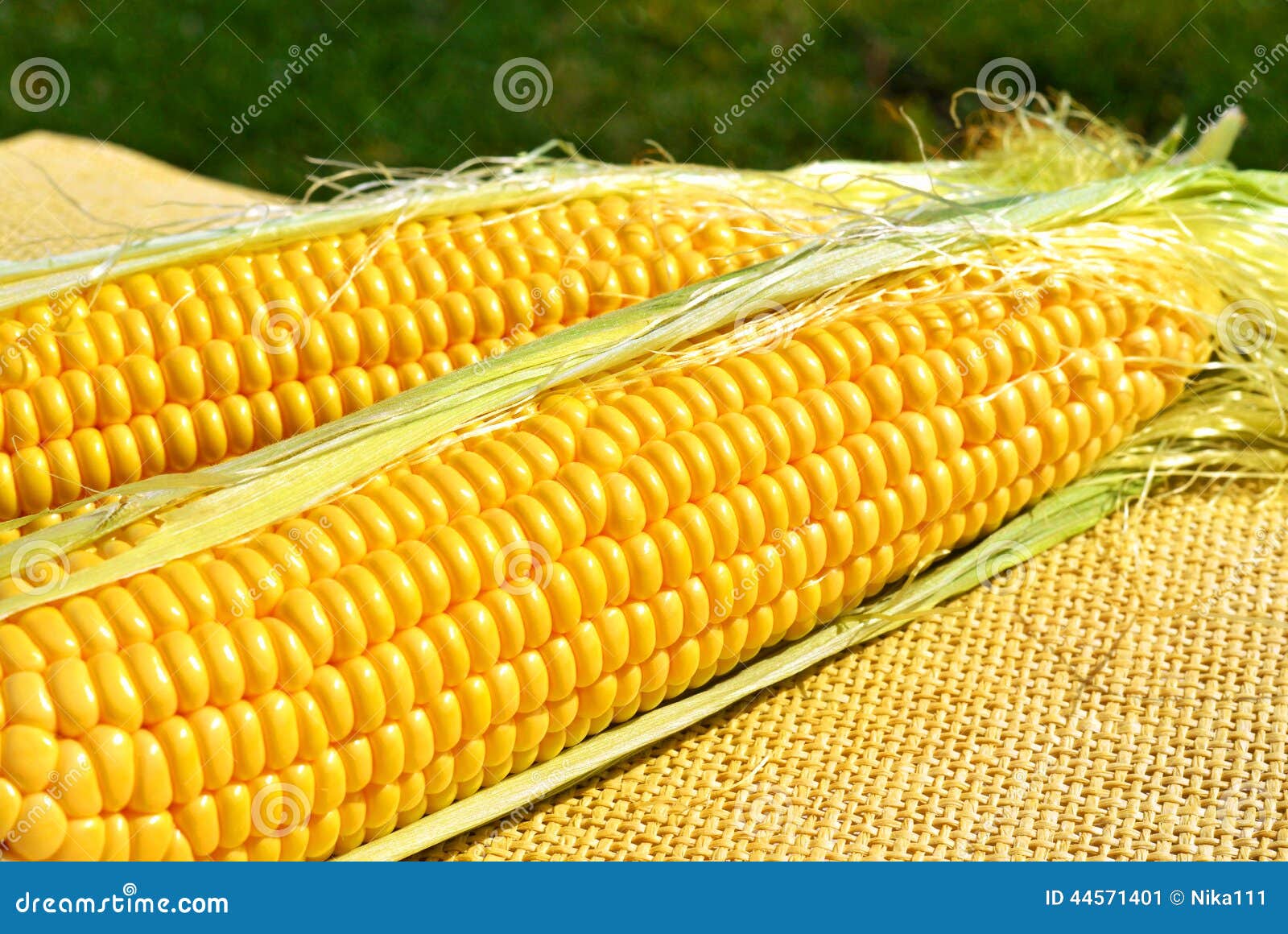 Royalty Free Images, Cartoons, Illustrations And Photos Designed By ...