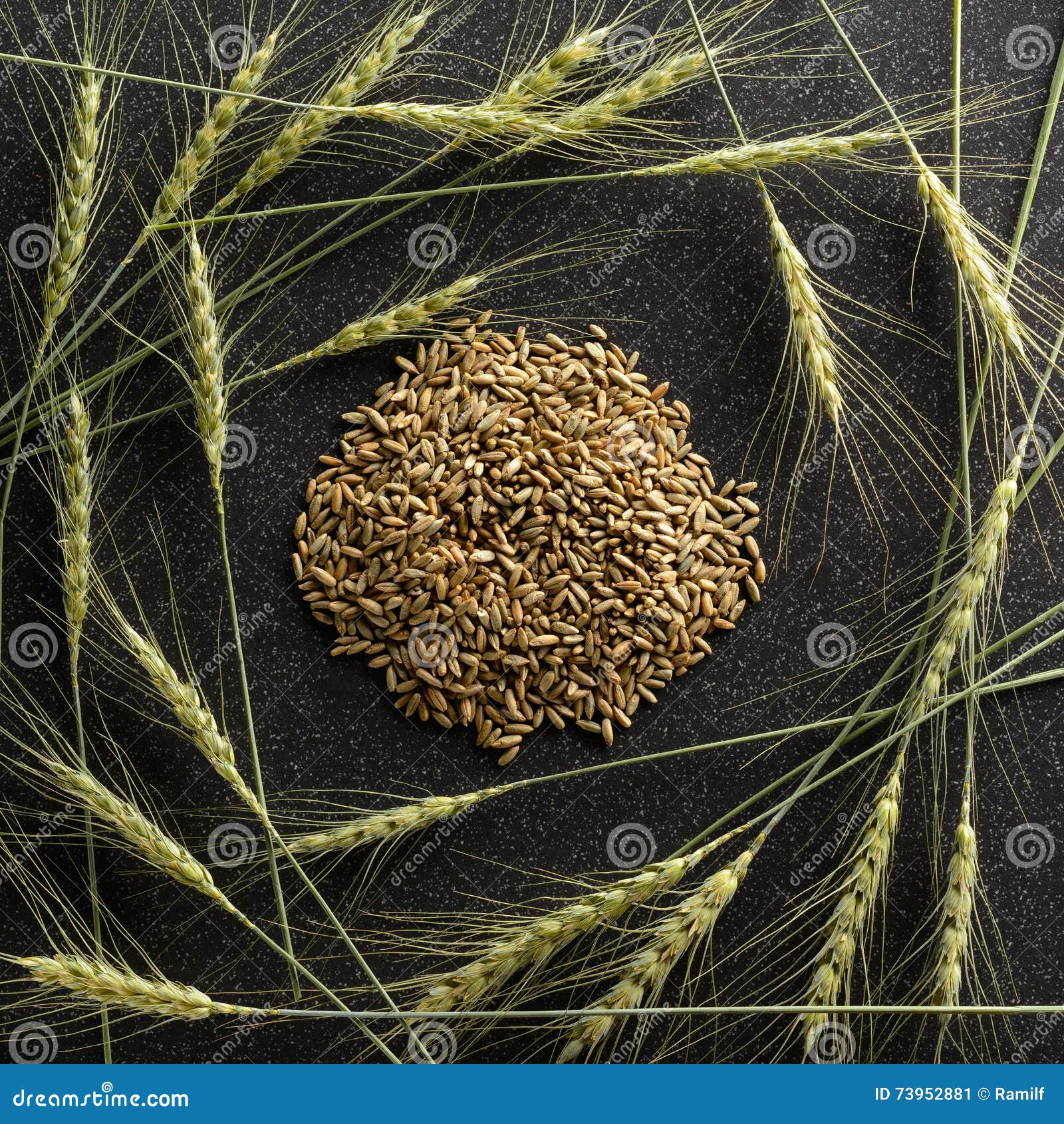 The Ears and Rye Lie on a Dark Ceramic Tile Stock Image - Image of ...