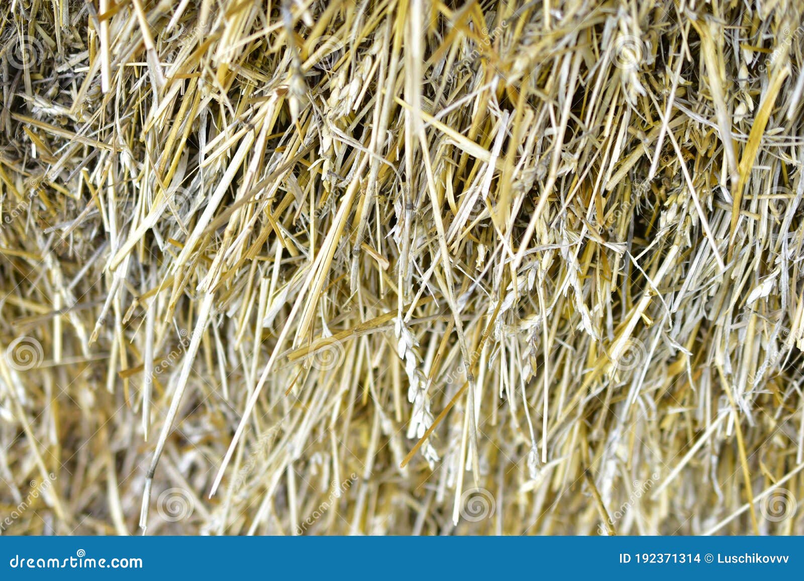 Straw Hat On A Haystack In The Field. Summer Background. Rusting ...