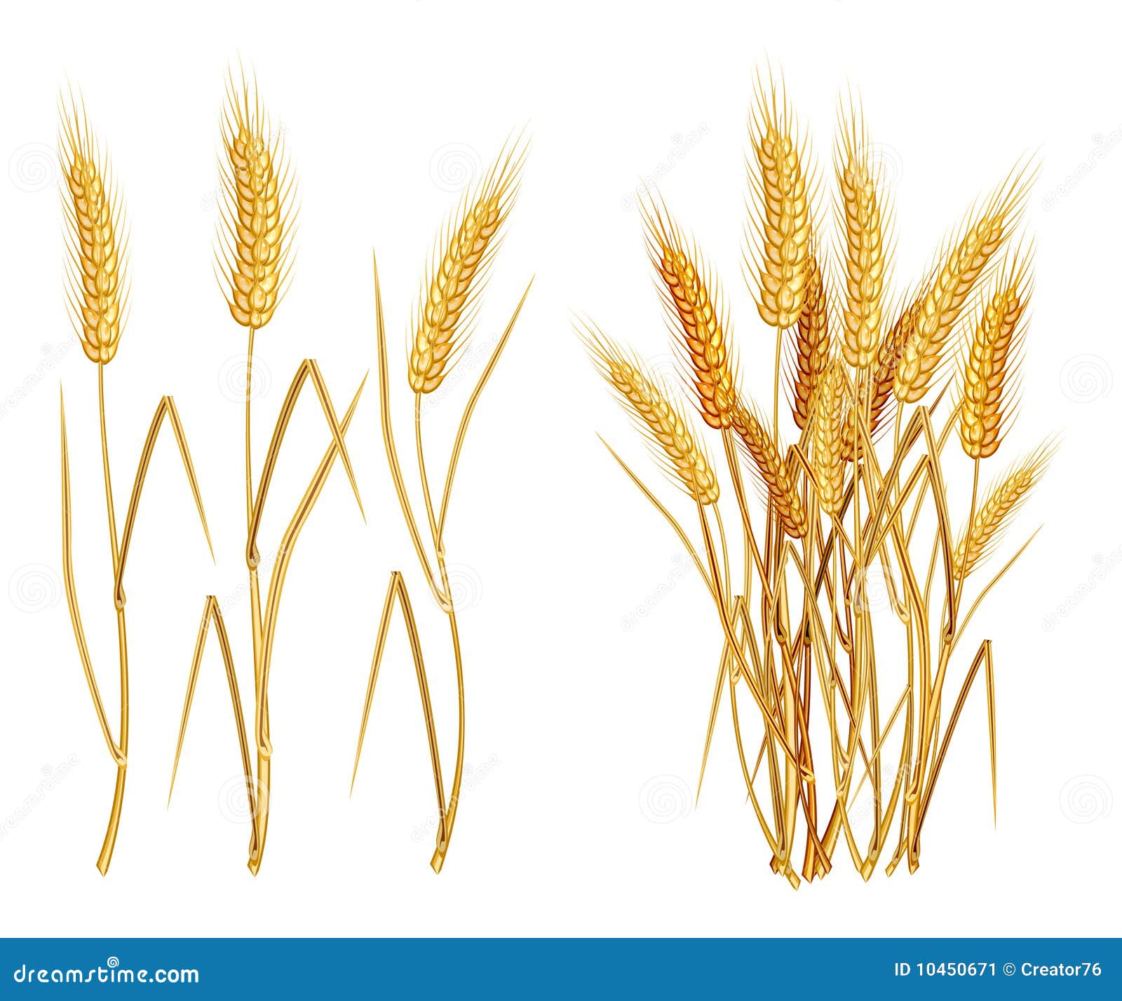 Wheat Stock Illustrations – 119,615 Wheat Stock Illustrations, Vectors ...