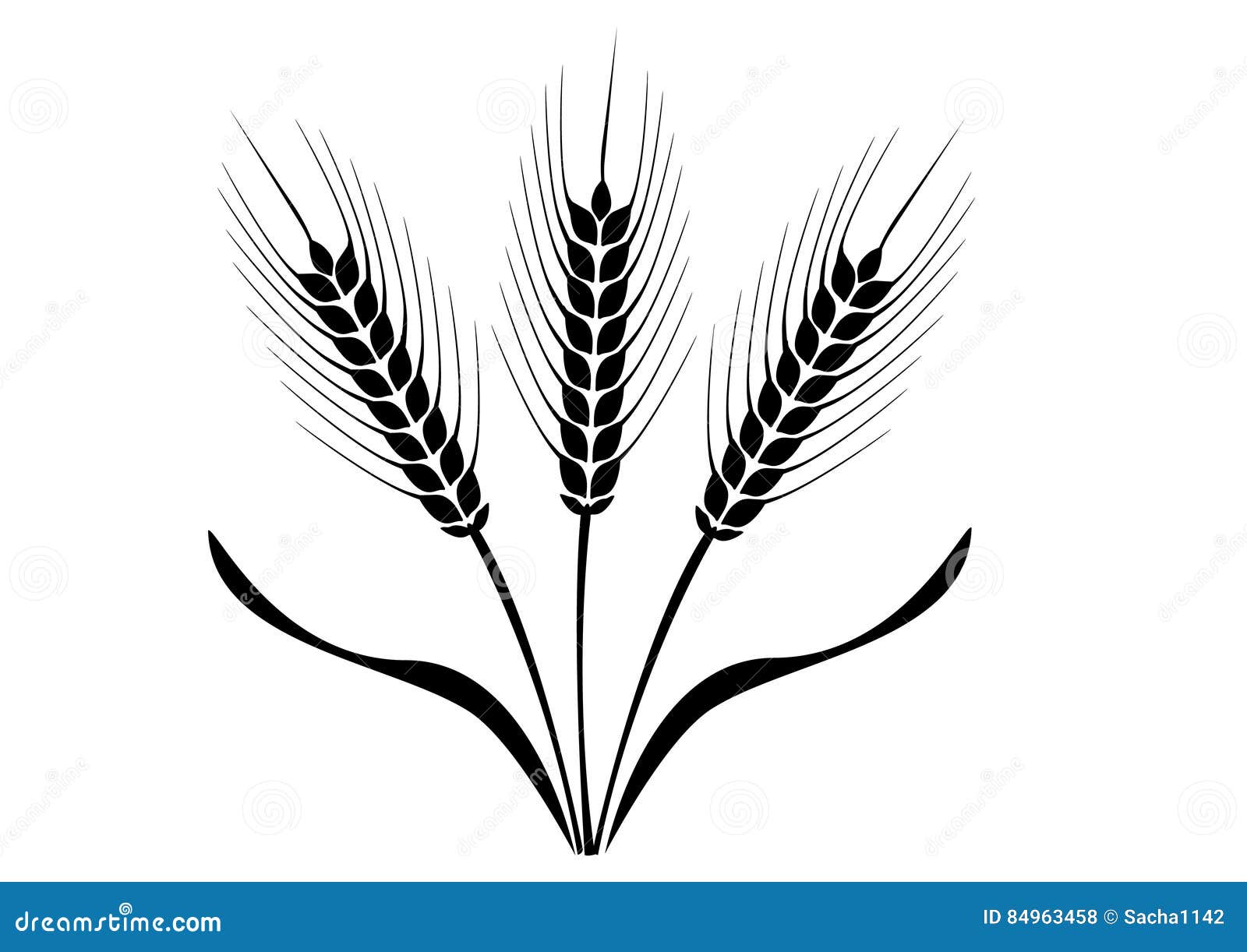Barley Graphic