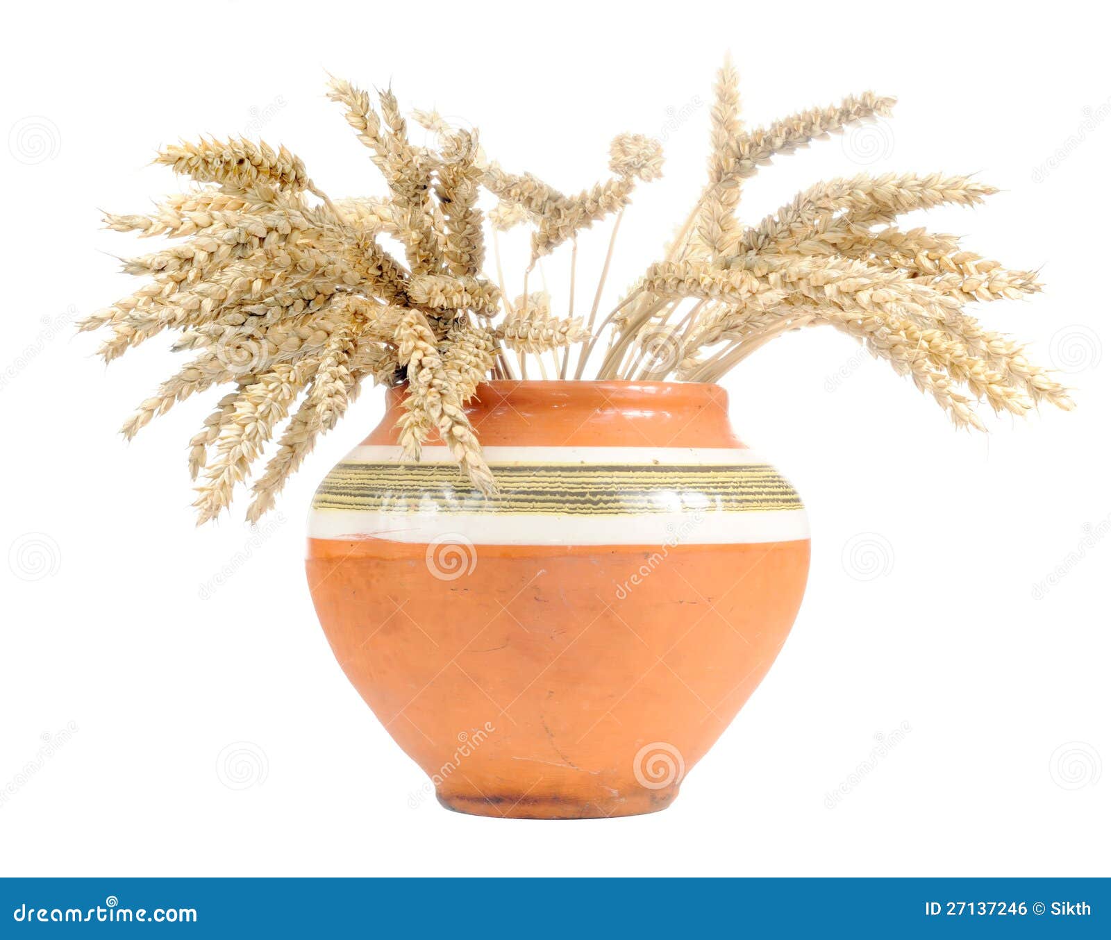 Ears of Wheat in Clay Pot stock photo. Image of grains - 27137246