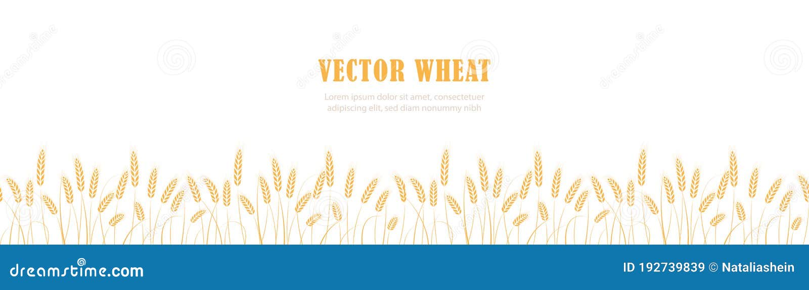 Ears of Wheat in Field Horizontal Border Seamless Pattern with the Place for Text Stock Vector ...