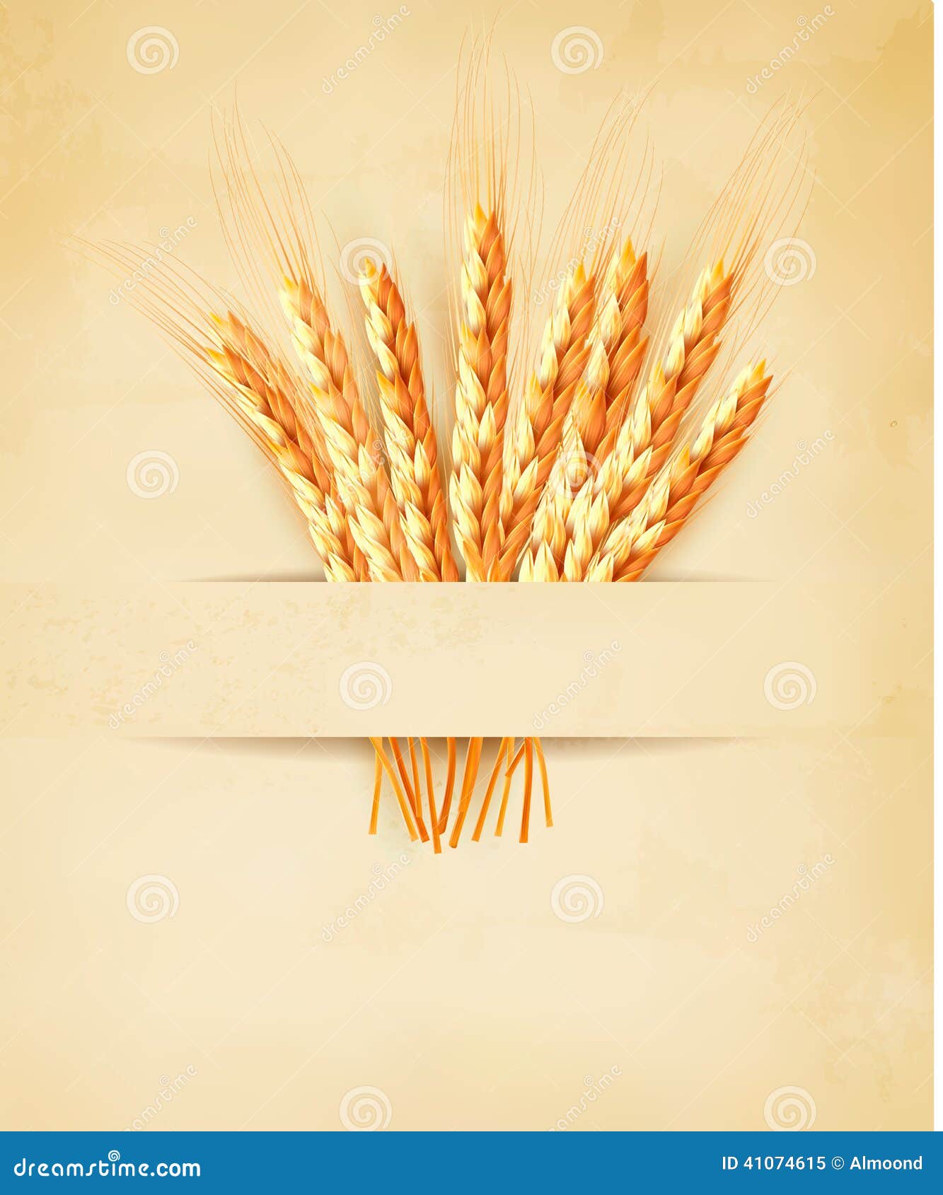 Ears Of Wheat On Old Paper Background. Cartoon Vector | CartoonDealer ...