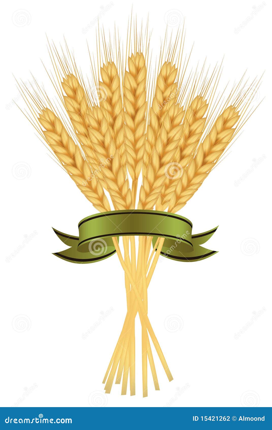 Ears of Wheat and Ribbons on White. Stock Vector - Illustration of ...