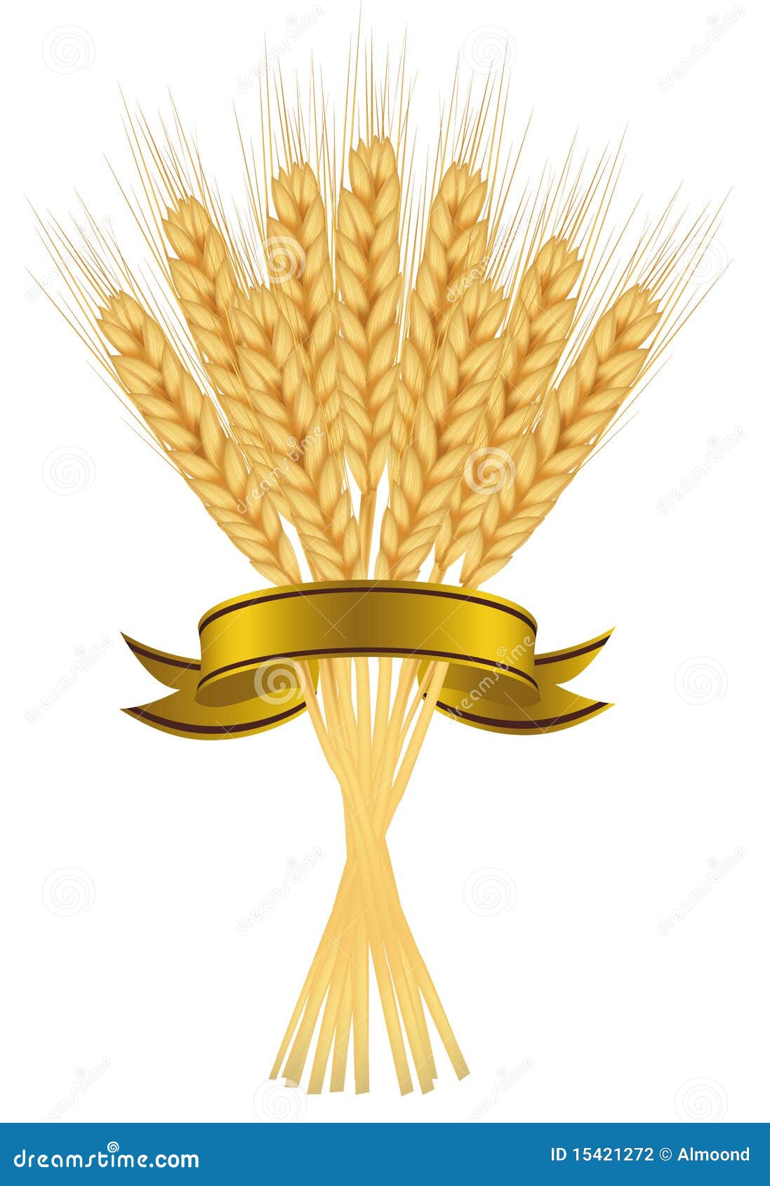 Ears of Wheat and Ribbons on White. Stock Vector - Illustration of ...