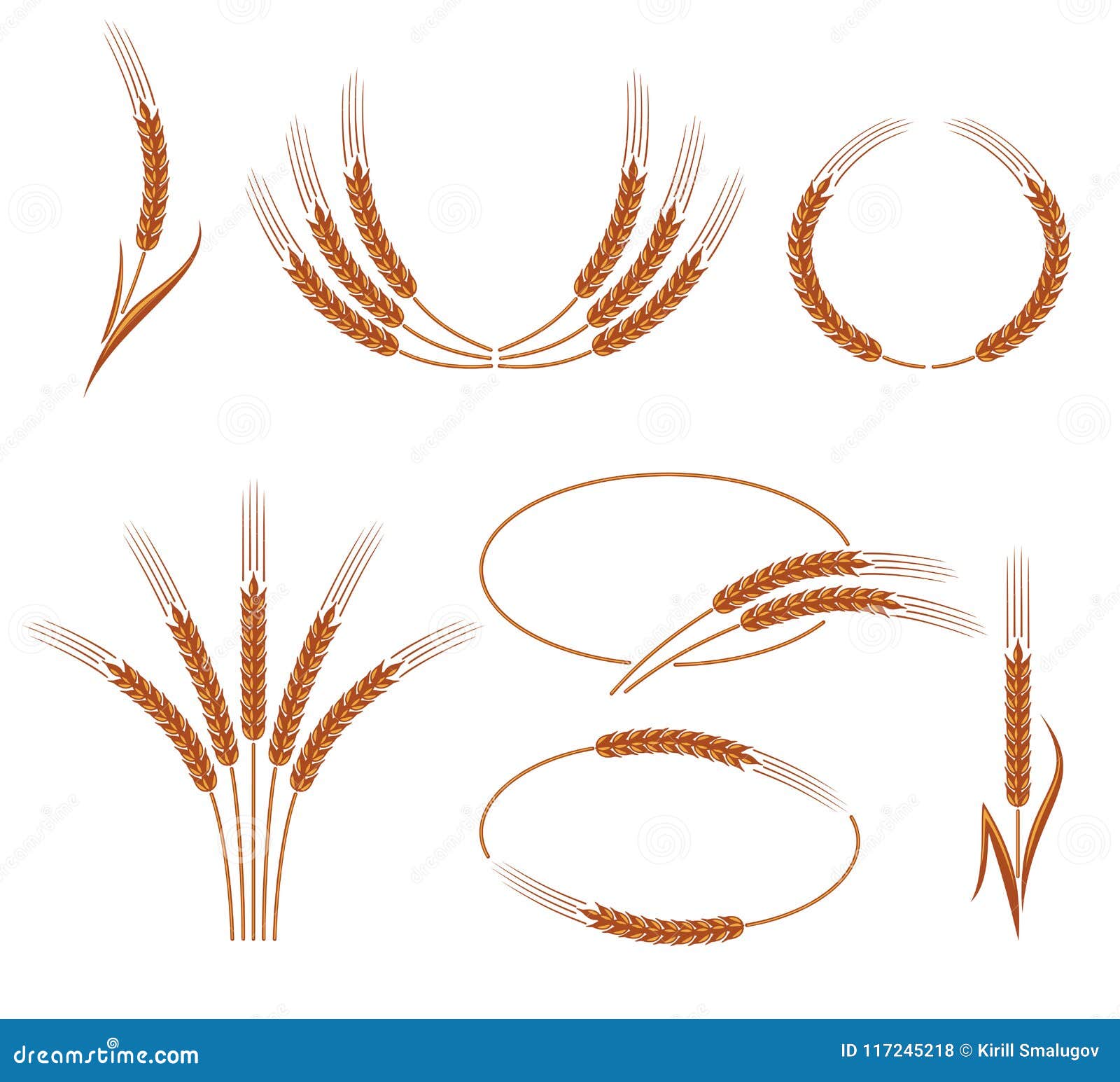 Ears of Wheat and Rye Set. Vector Stock Vector - Illustration of sign ...