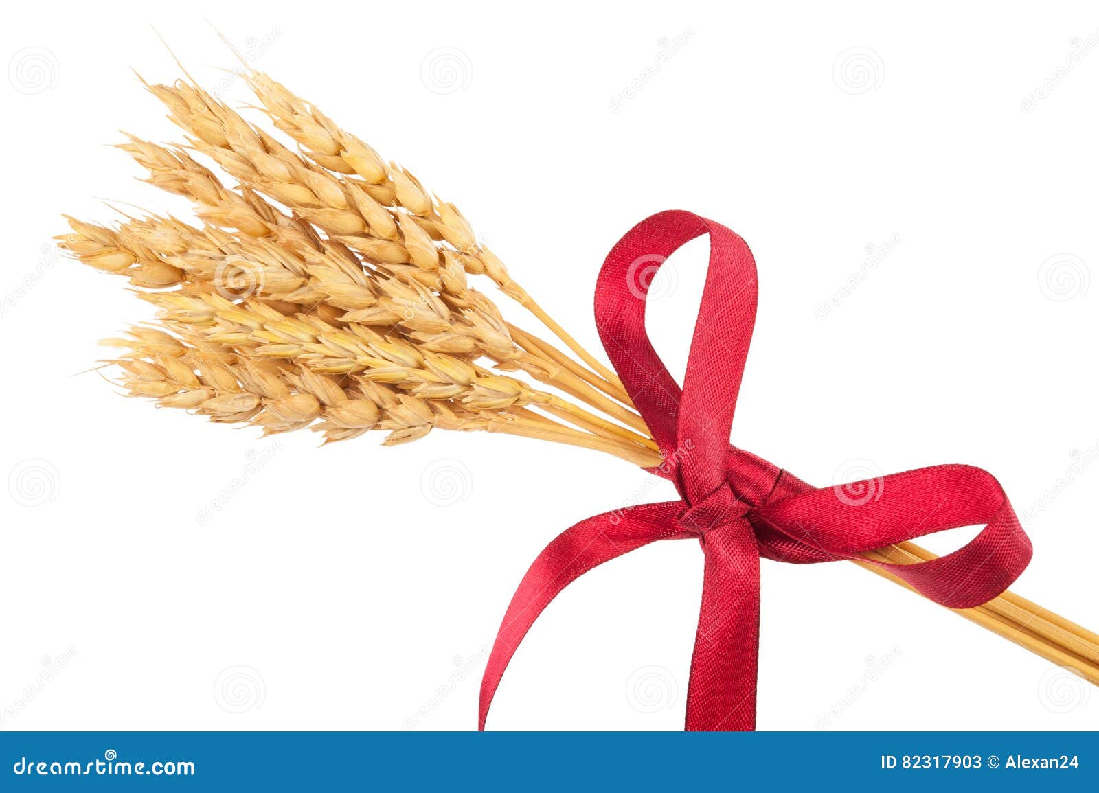 Ears of Wheat Tied with Red Ribbon Stock Image - Image of corn, natural ...