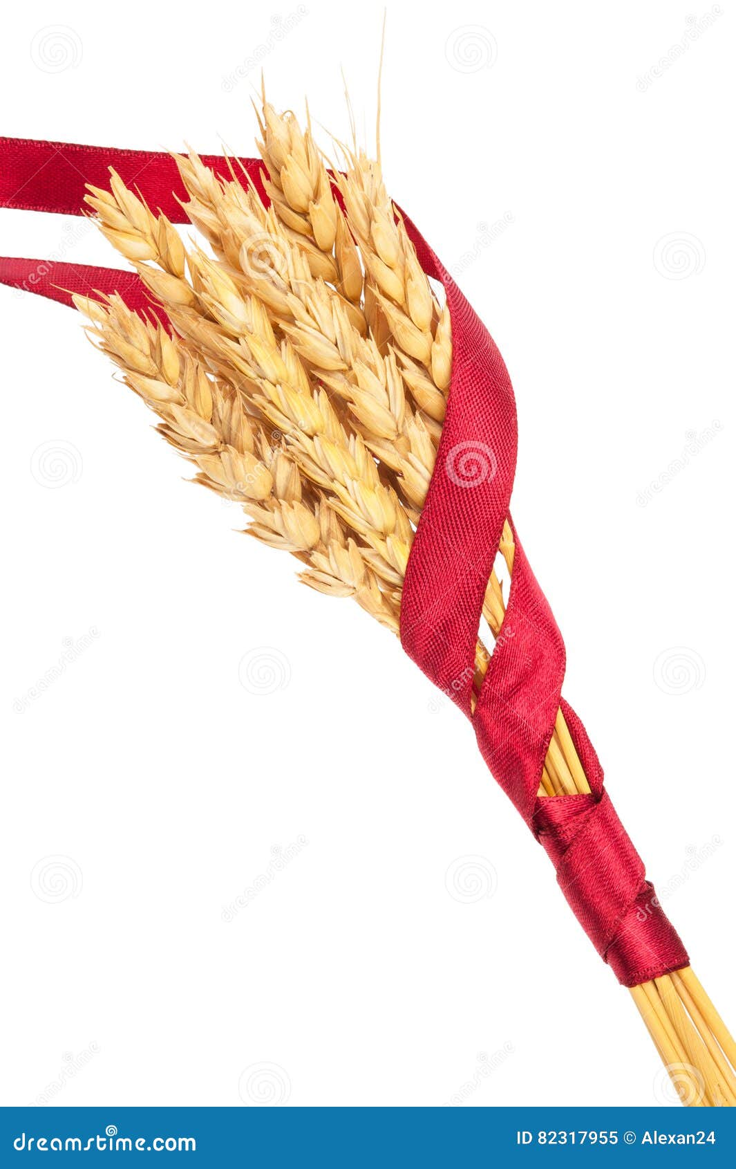 Ears of Wheat Tied with Red Ribbon Stock Image - Image of farm ...