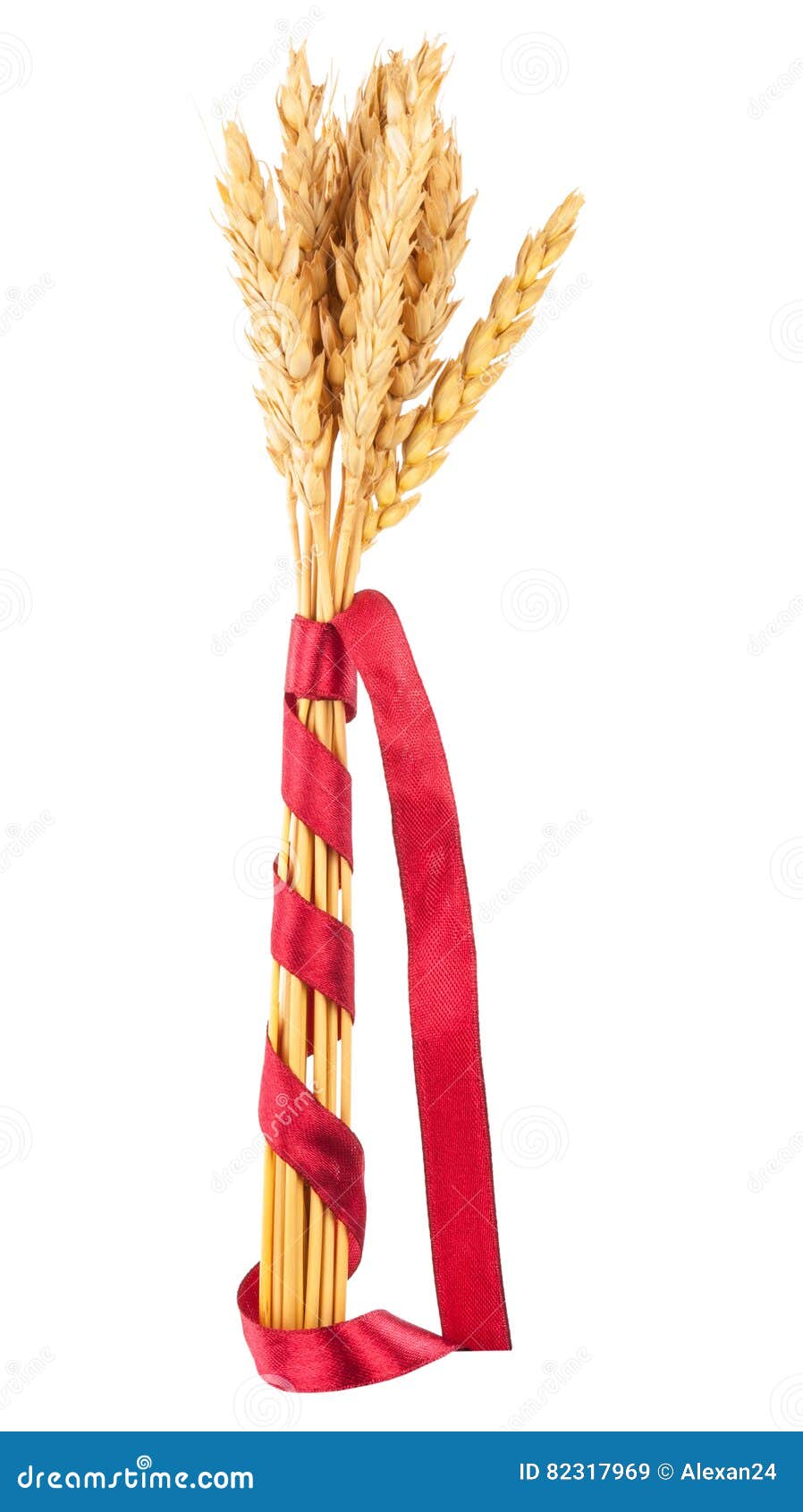 Ears of Wheat Tied with Red Ribbon Stock Image - Image of white, food ...