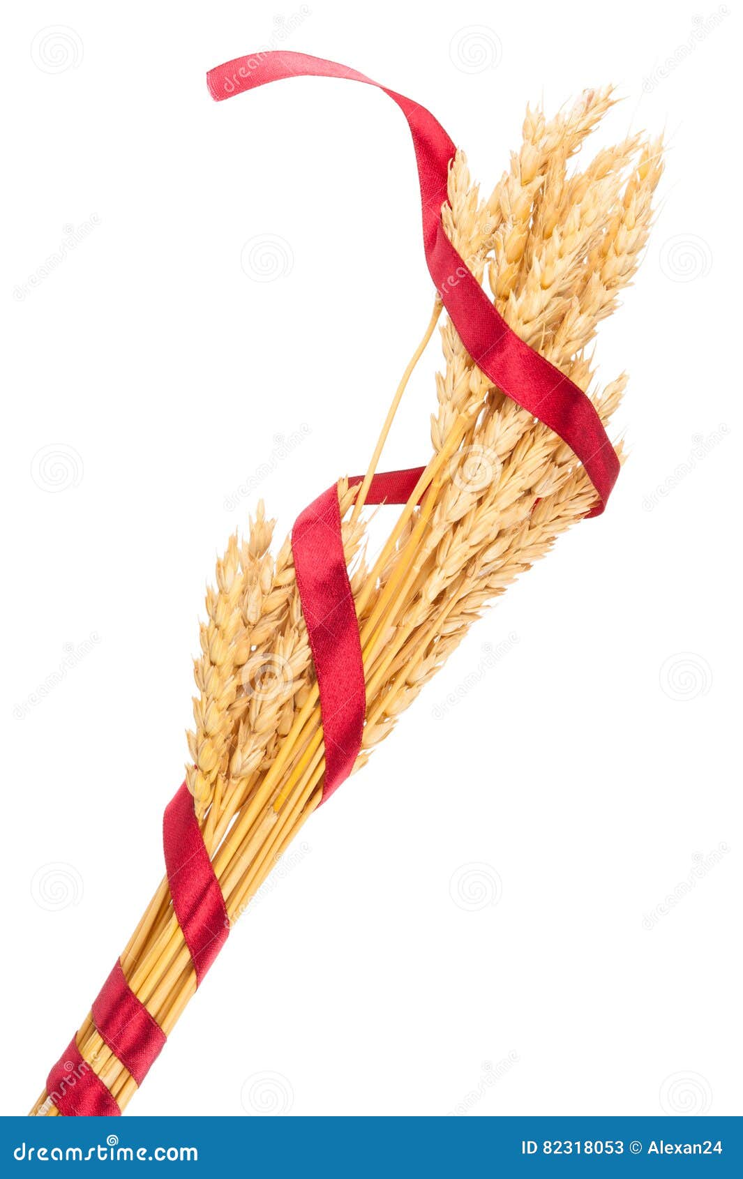 Ears of Wheat Tied with Red Ribbon Stock Image - Image of cereal, tied ...
